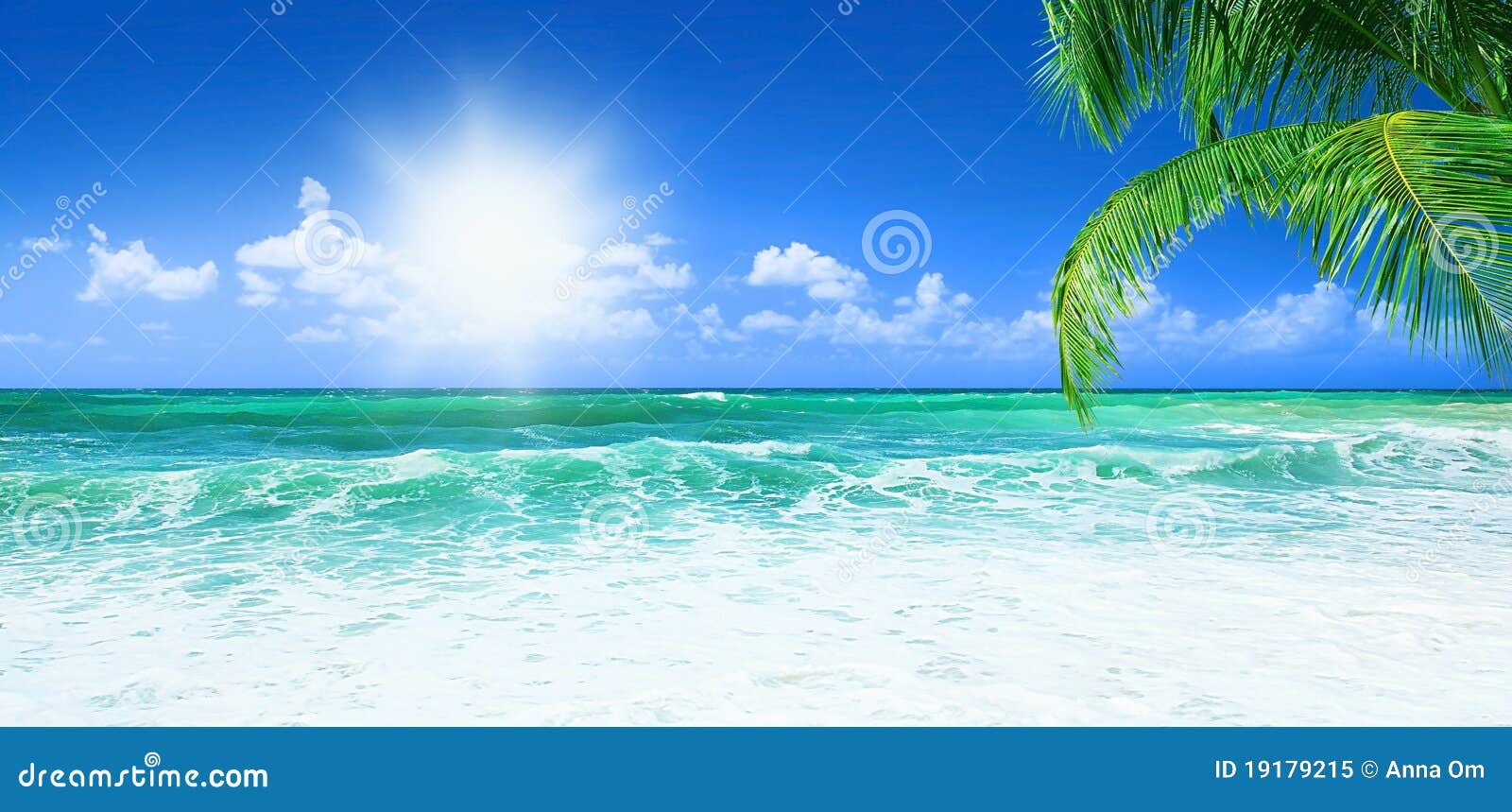 Beautiful beach stock image. Image of clean, beauty, palm - 19179215