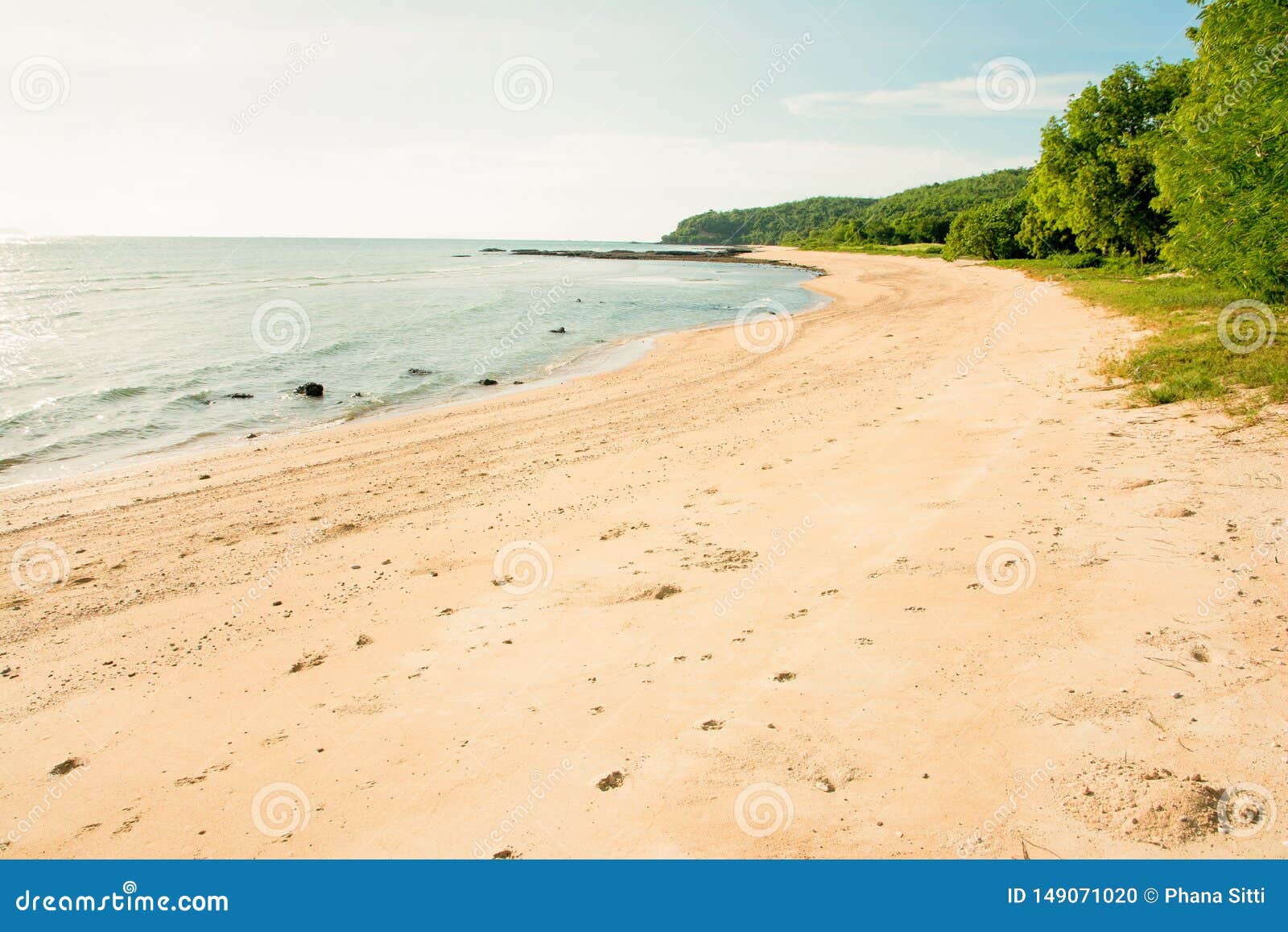 Beautiful Beach with Blue Sky and Tree Retro Color Background Stock ...