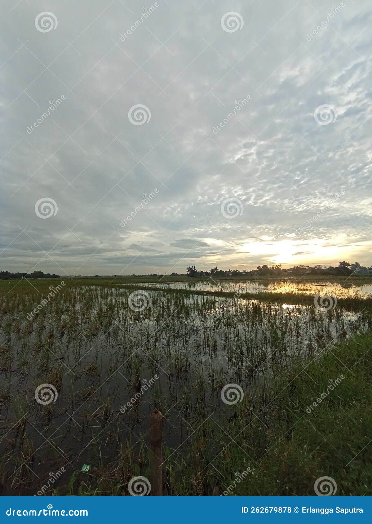 Beautiful Beach and Clear Sky and Sunset Stock Photo - Image of sunset ...