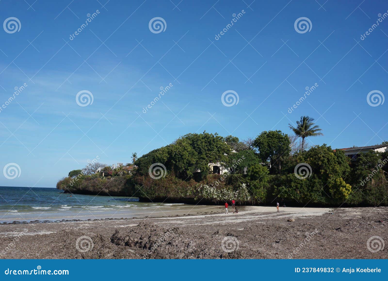 The Beautiful Beach of the Coastal Town Malindi Editorial Photography ...