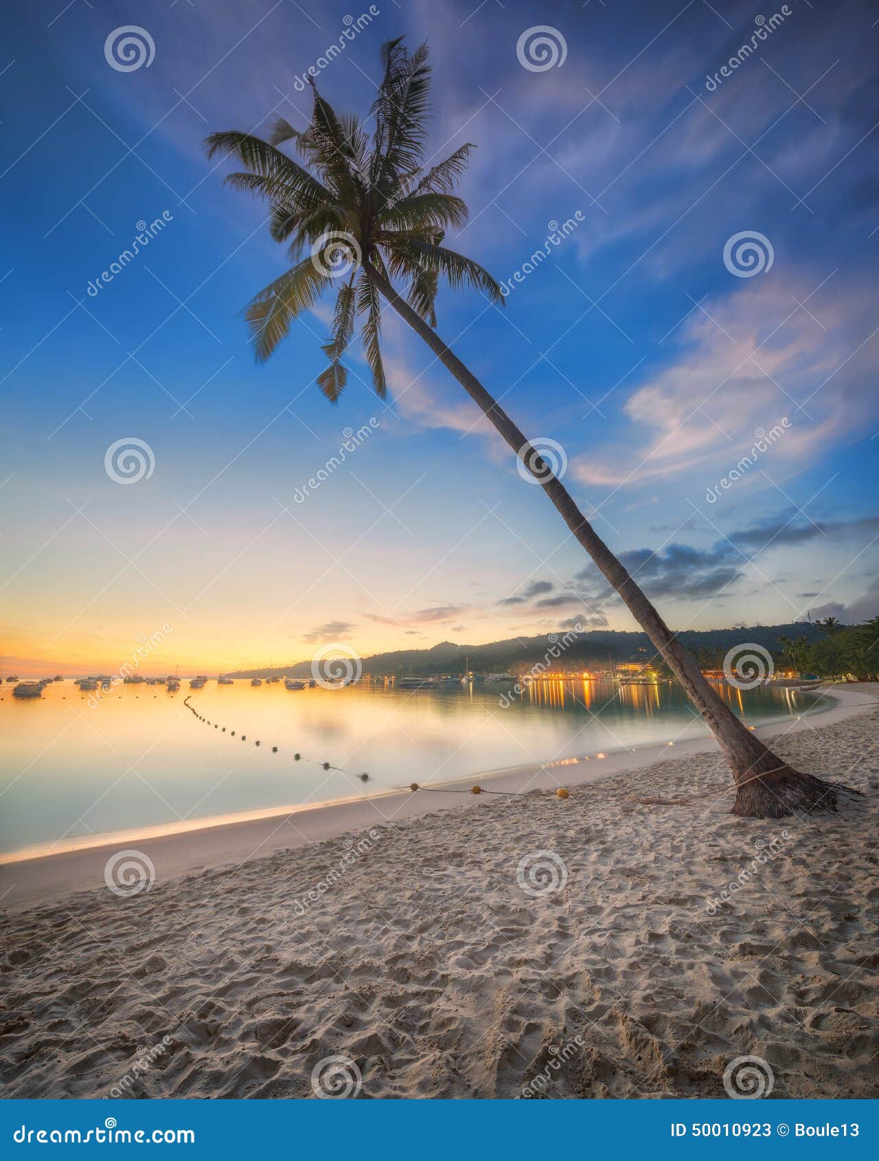 Beautiful Beach with Coconut Palm Tree Stock Image - Image of coconut ...