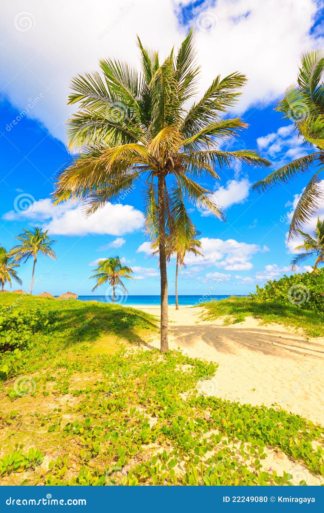 Beautiful beach in Cuba stock photo. Image of coast, cuba - 22249080