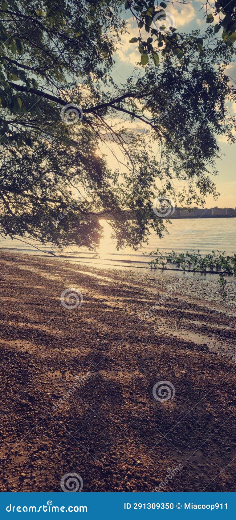 Beautiful Beach Day Sunset Photograph Stock Photo - Image of beautiful ...