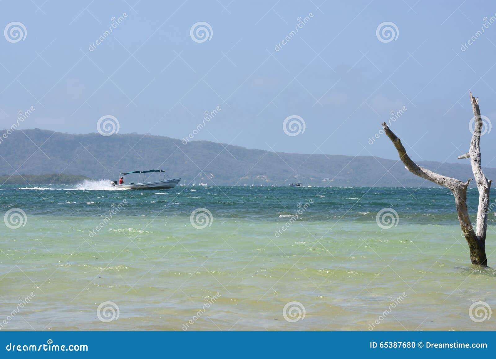 Beautiful beach stock photo. Image of beautiful, state - 65387680