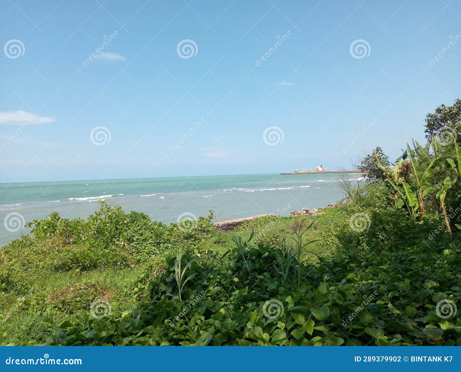 Beautiful Beach Full of Weeds Stock Photo - Image of weeds, full: 289379902