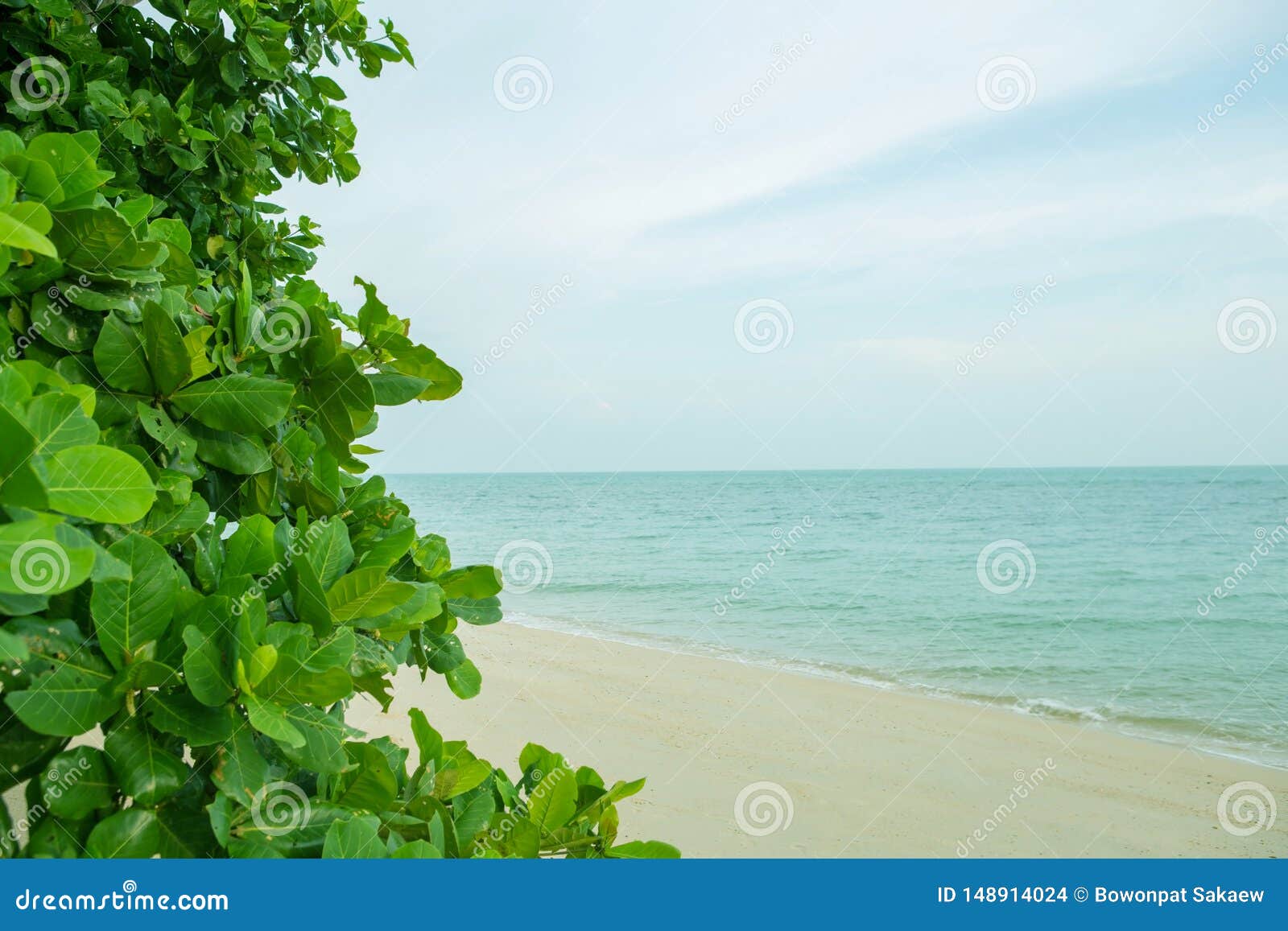 Beautiful Beach with Green Leaf Stock Photo - Image of landscape ...