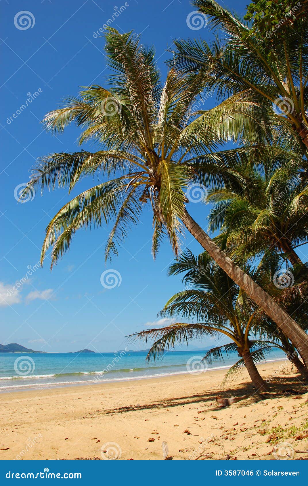 Beautiful beach Location stock photo. Image of palm, horizon - 3587046