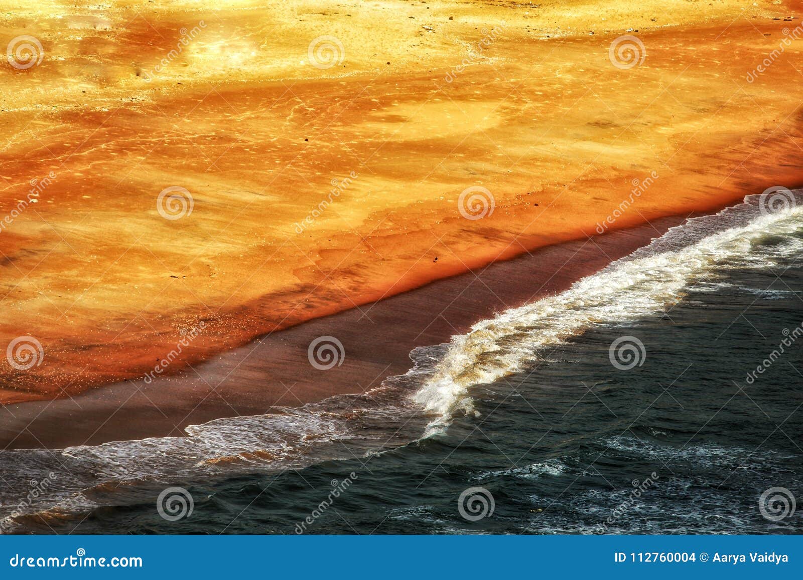 Think Of Life Organization Royalty-Free Stock Photography ...