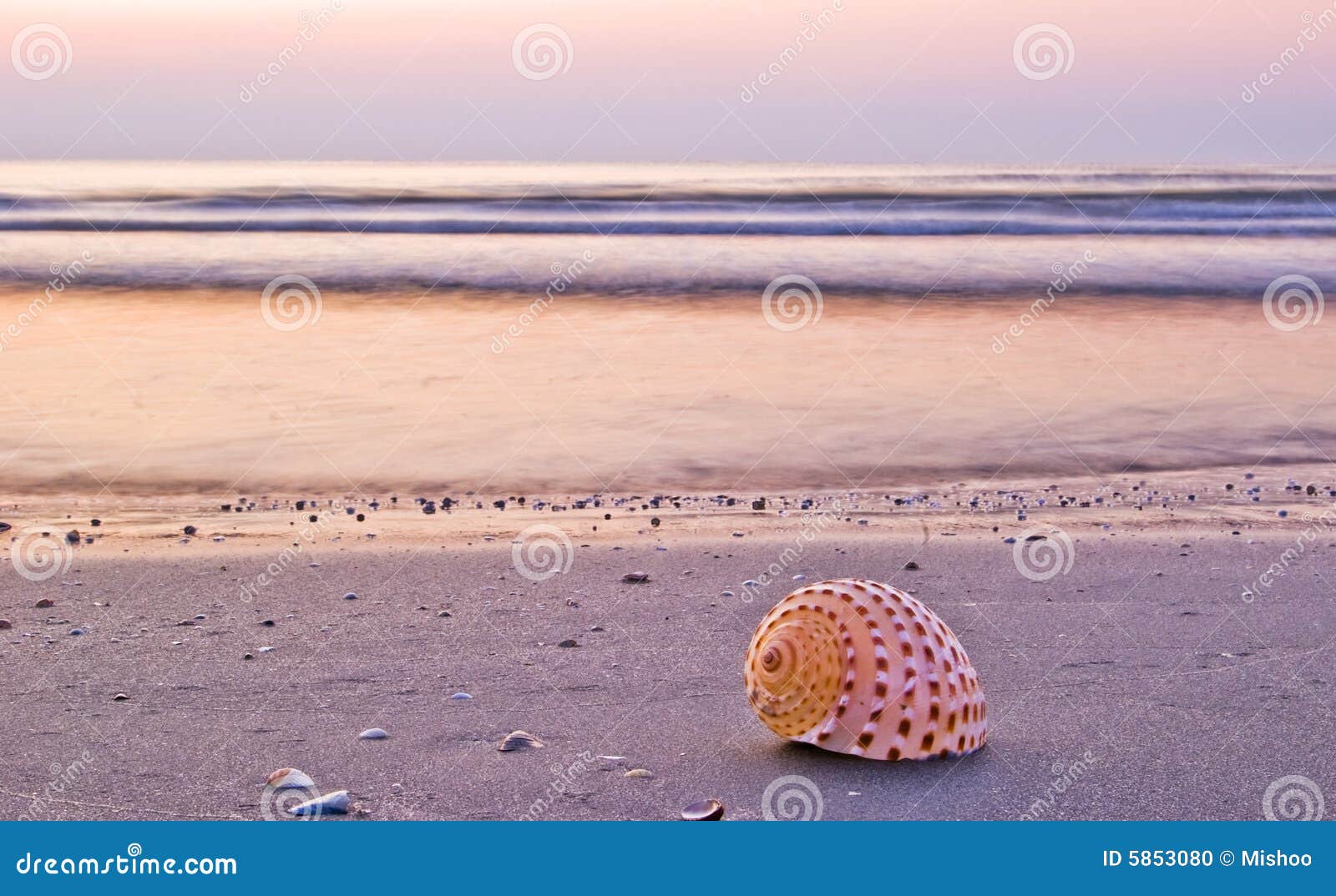 Beautiful beach morning stock photo. Image of colored - 5853080