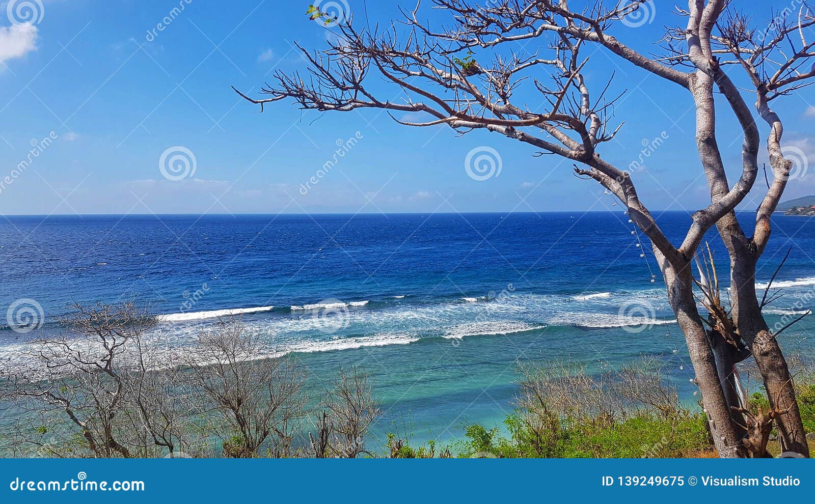 Tree And Waves In The Atlantic Ocean At Sunrise At Driftwood Beach ...