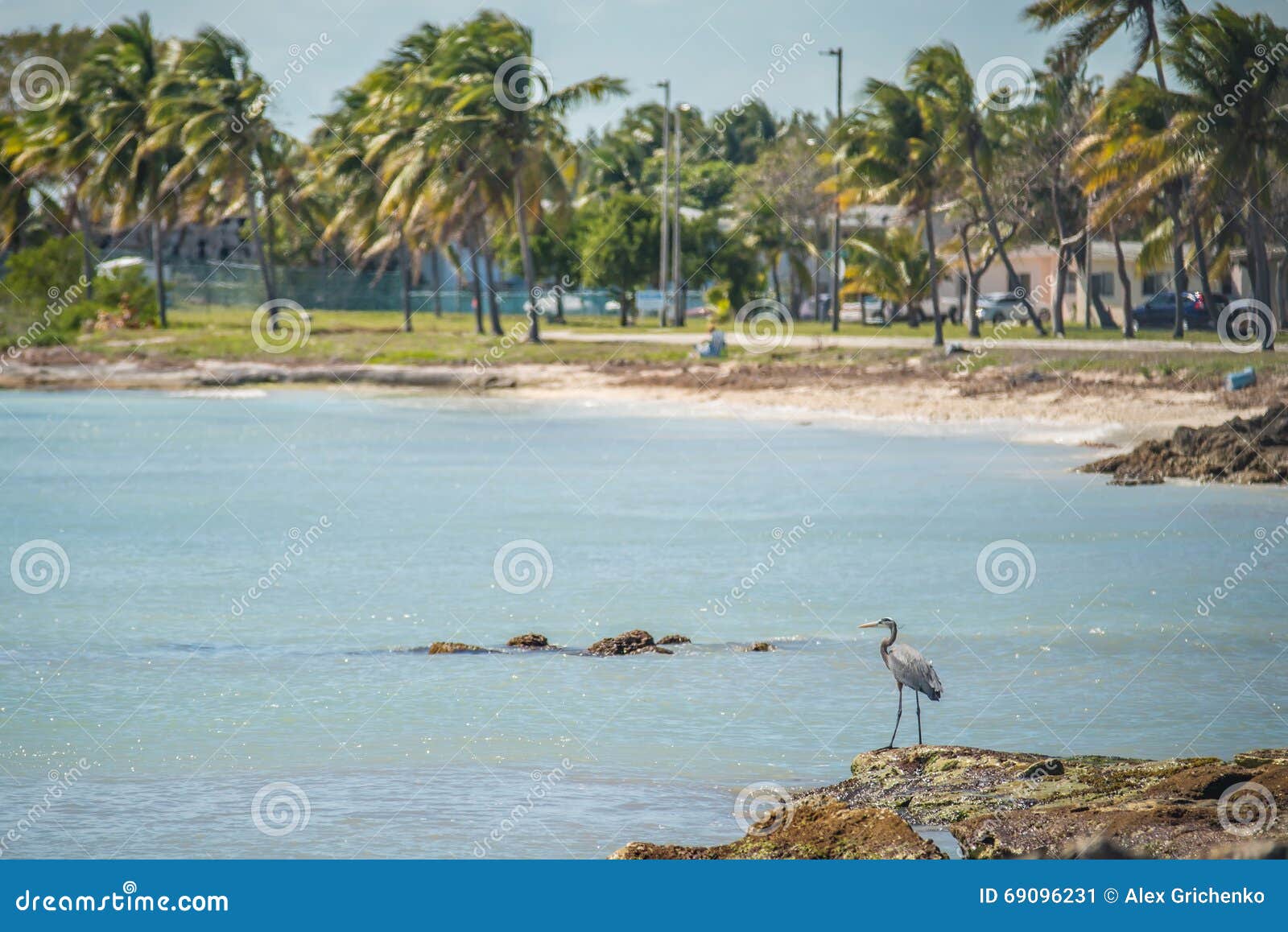 Beautiful Beach and Ocean Scenes in Florida Keys Stock Image - Image of ...