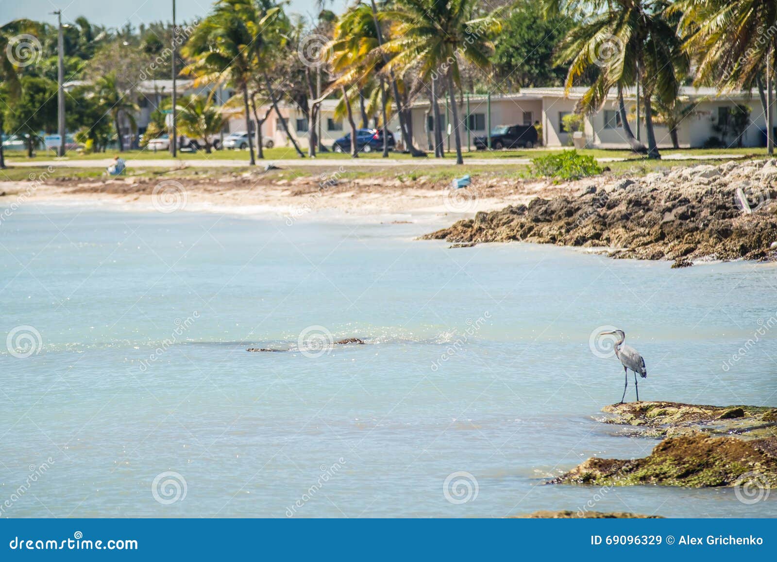Beautiful Beach and Ocean Scenes in Florida Keys Stock Image - Image of ...