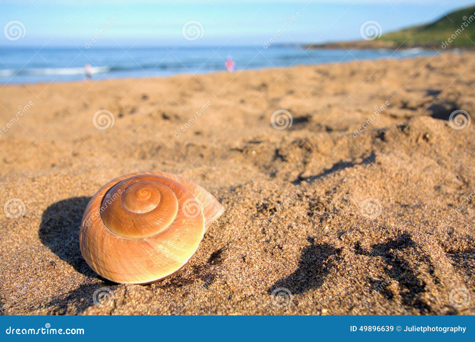 Beautiful Beach with Seashell on Sand, Blue Waves and Sky Stock Image ...