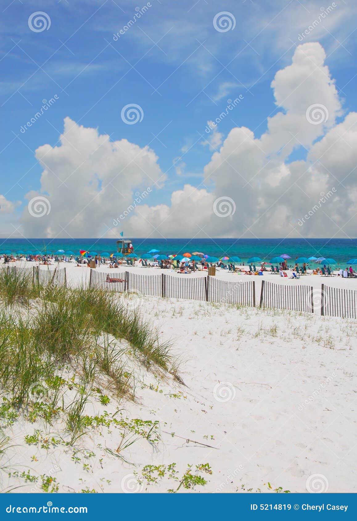 Beautiful Beach in Summer stock image. Image of sand, pensacola - 5214819