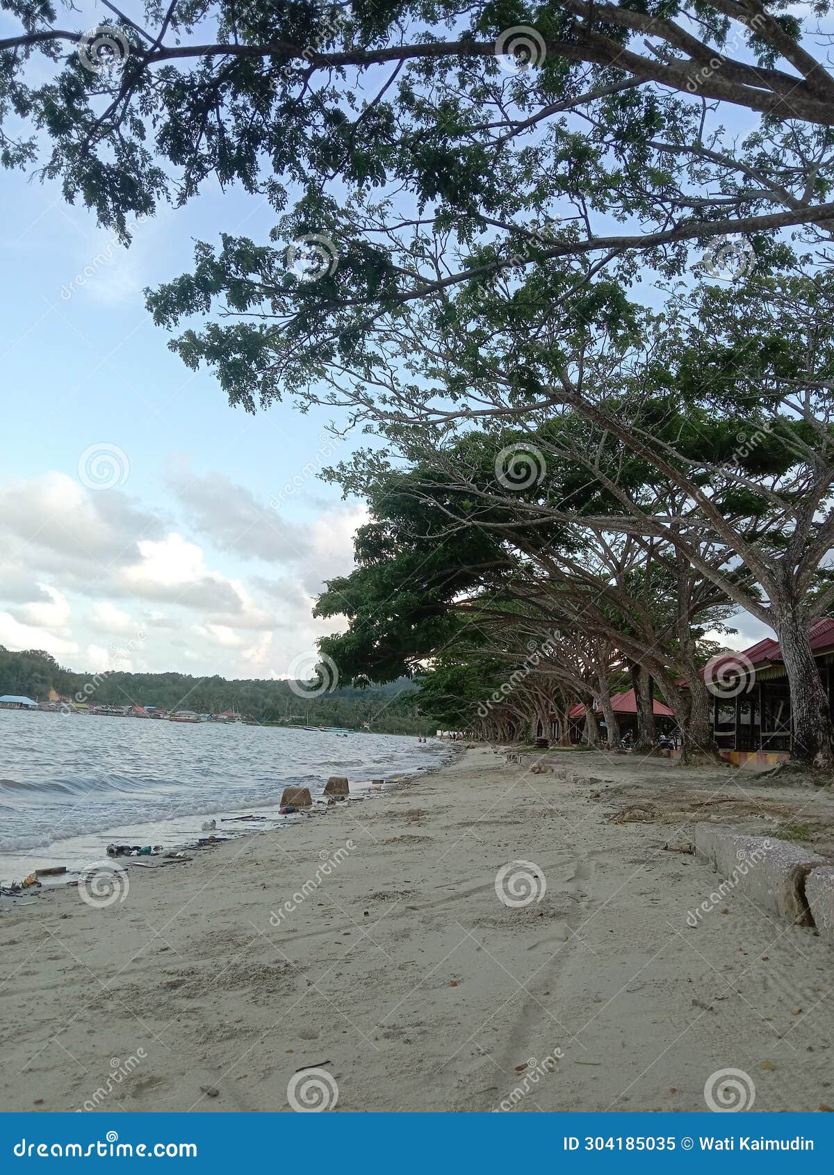 Beautiful Beach and Tree Kendari Indonesia Stock Image - Image of tree ...