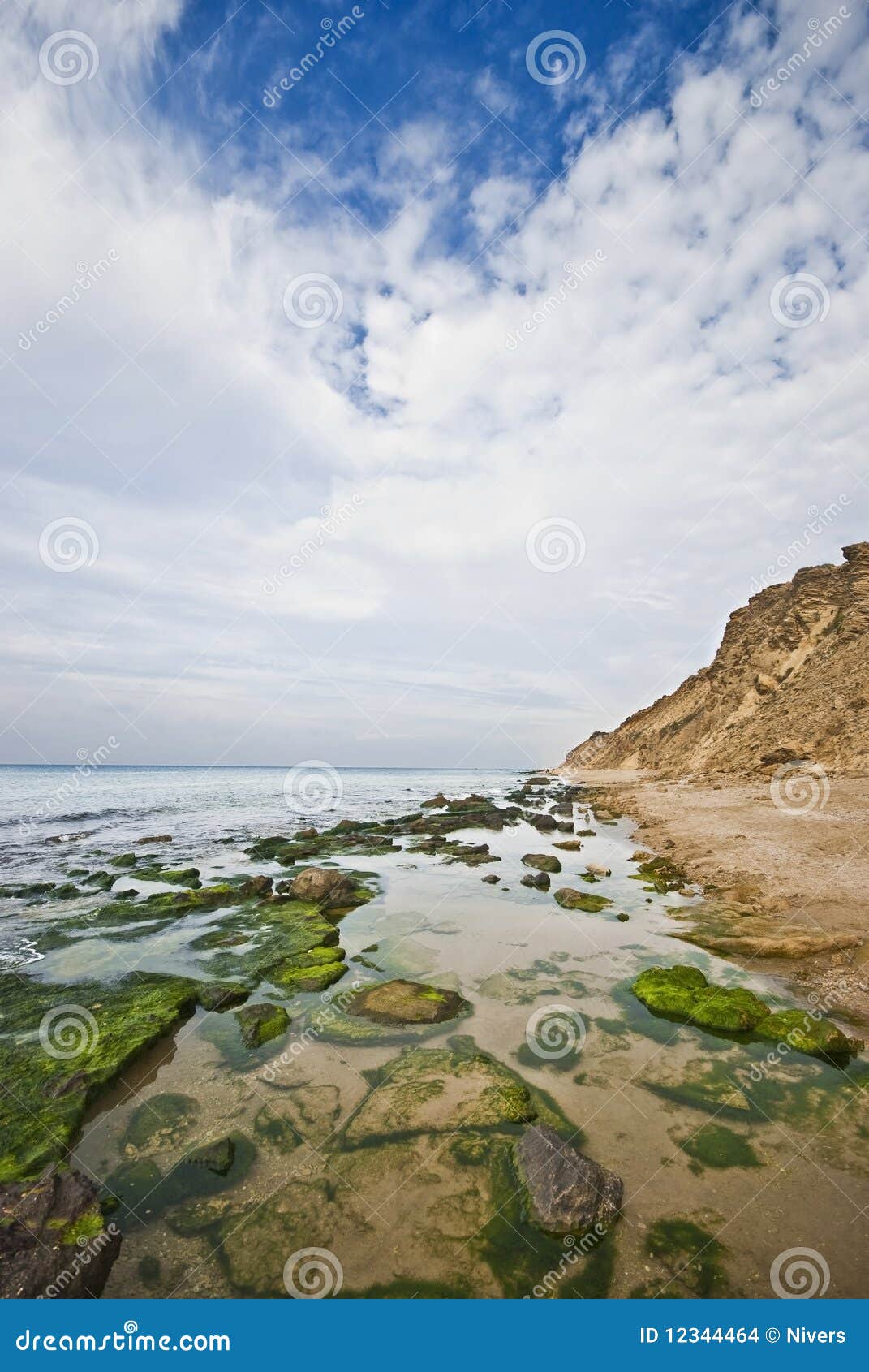 Beautiful bech stock photo. Image of nature, beautiful - 12344464