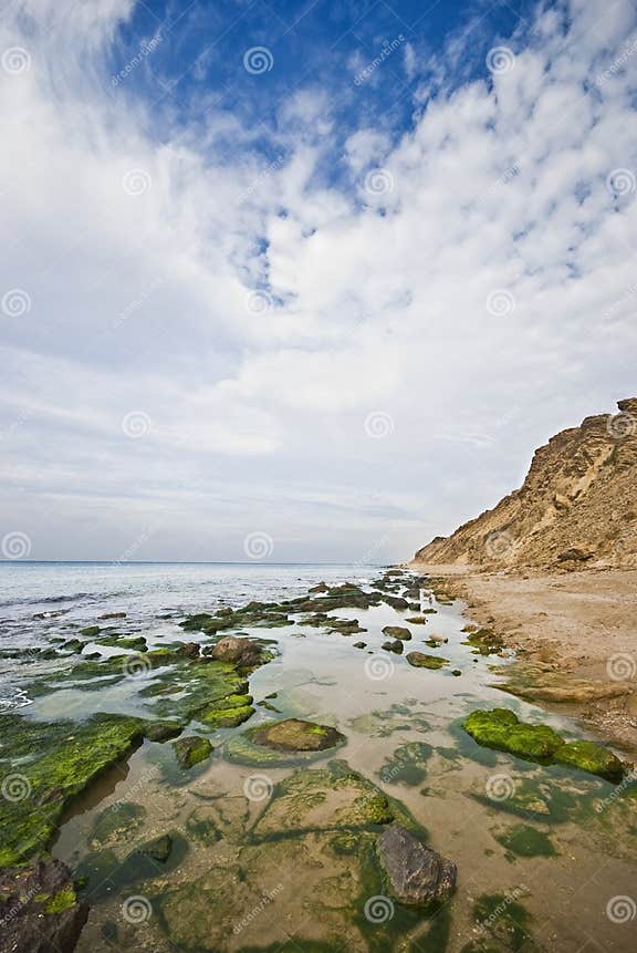 Beautiful bech stock photo. Image of nature, beautiful - 12344464