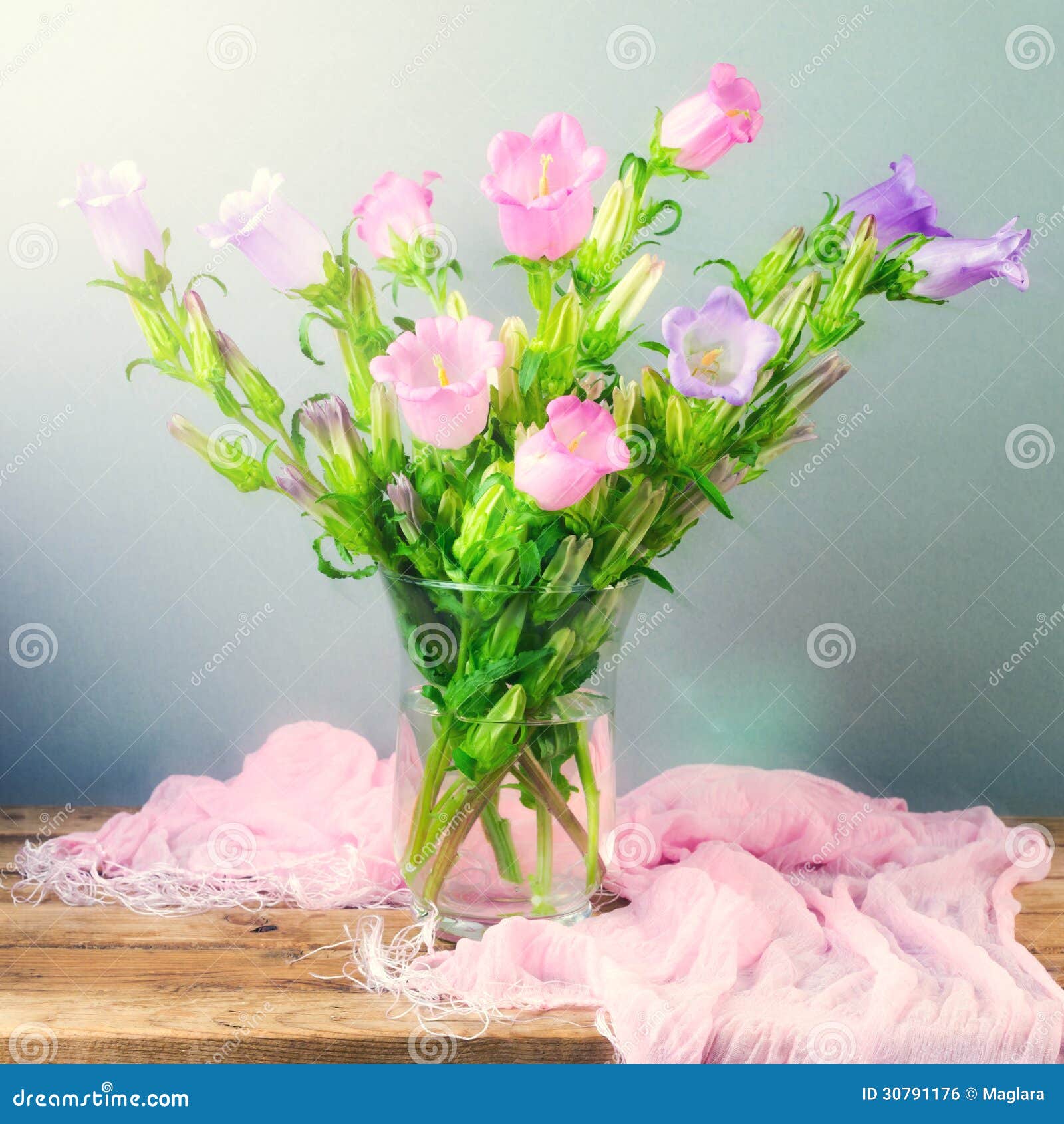 Beautiful bell flower stock photo. Image of card, composition - 30791176