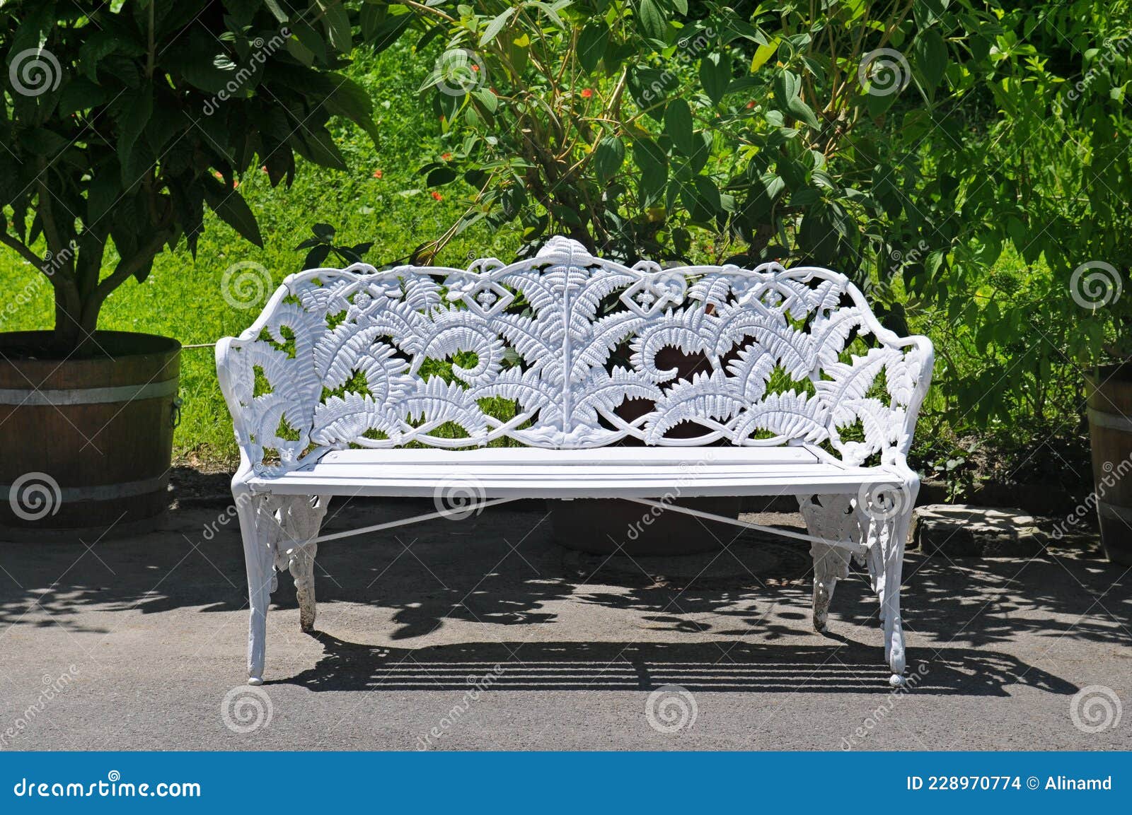 Beautiful Bench in the City Garden Stock Photo - Image of morning ...