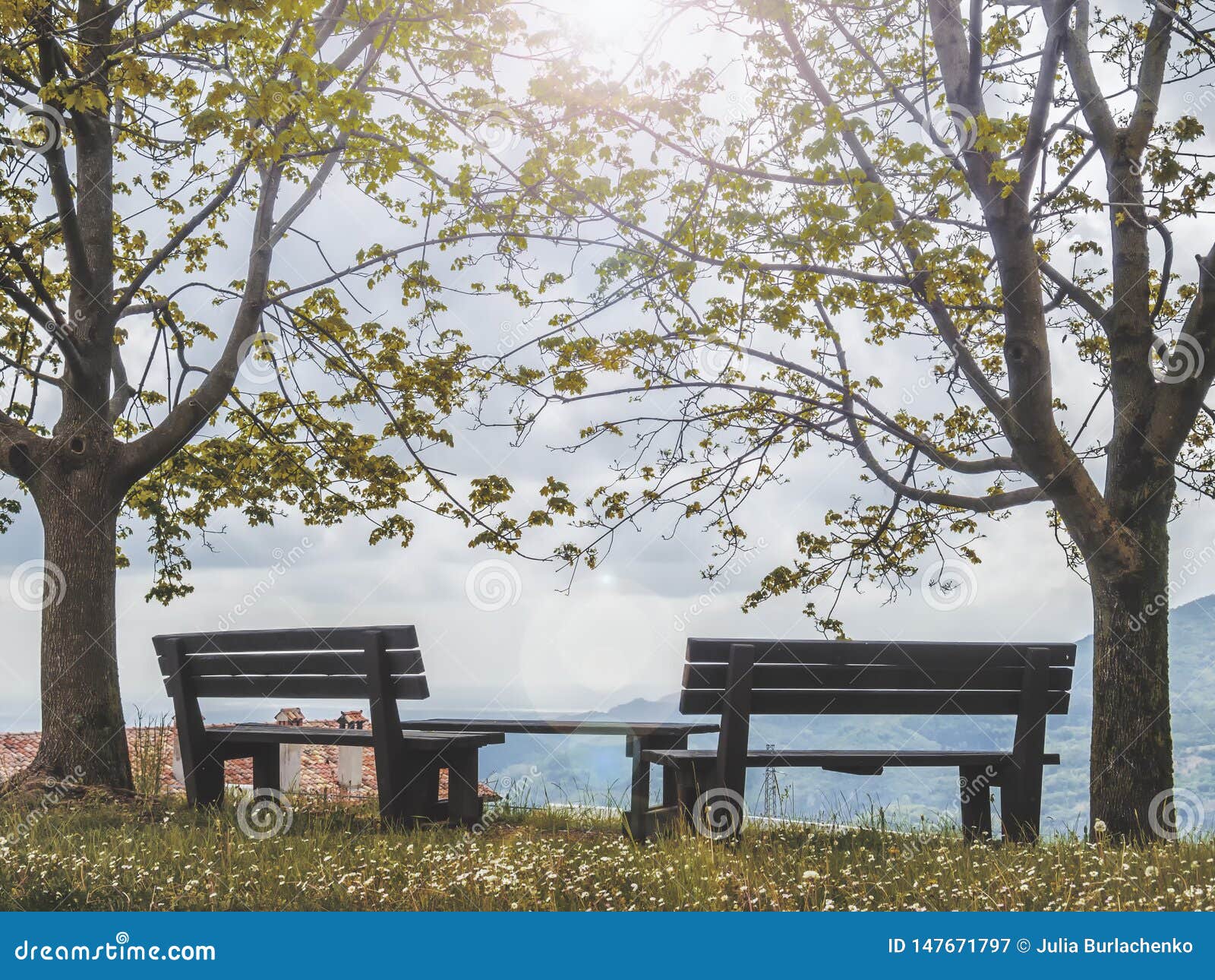 Beautiful, Bench, Calm In Garden Stock Photography | CartoonDealer.com ...