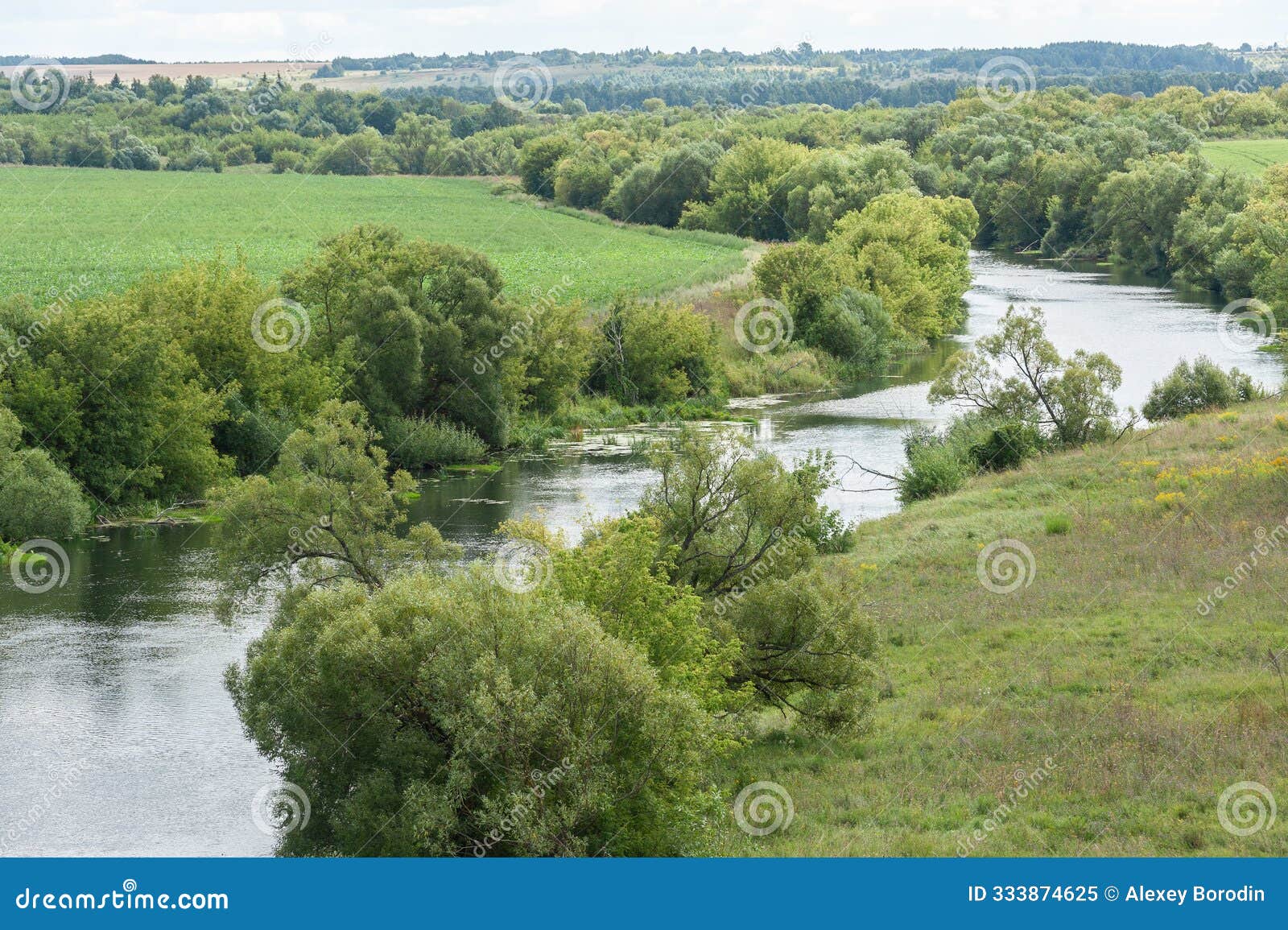 Beautiful Bend of the River, Banks Overgrown with Trees Stock Image ...