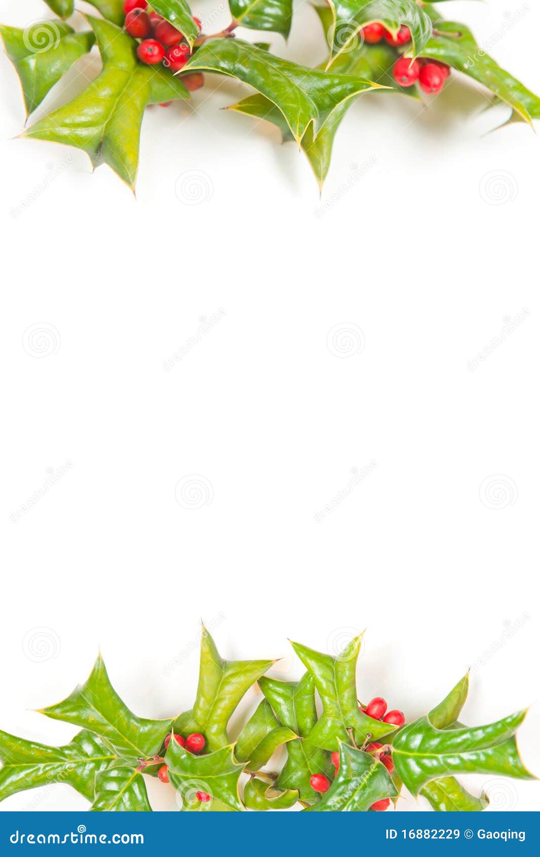 Beautiful Berry Christmas Frame Stock Image - Image of forest, nature ...