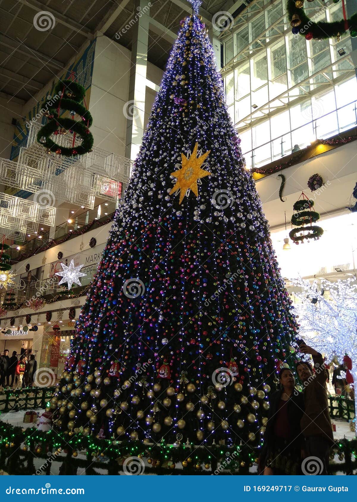 So Beautiful Big Christmas Tree and Green Colour Editorial Photography ...
