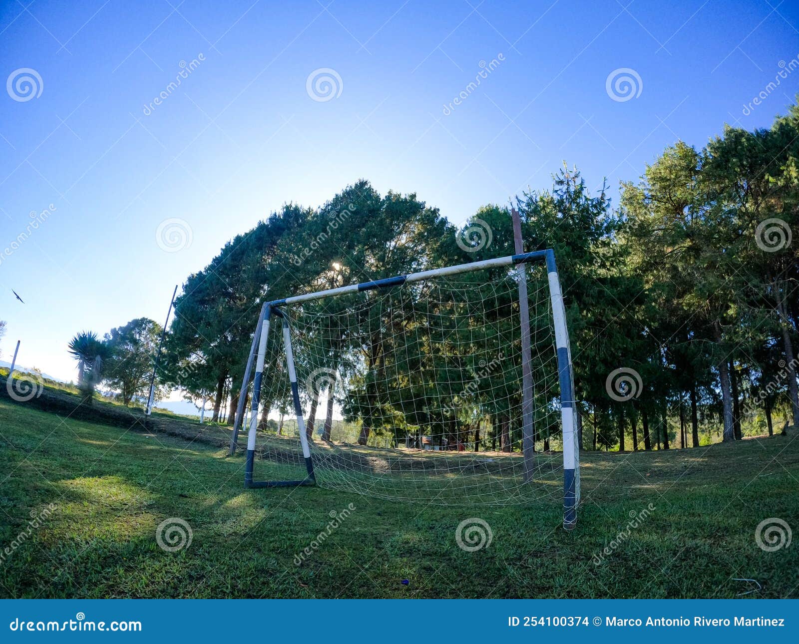 Beautiful and Big Soccer Goal in the Middle of the Forest Stock Photo ...