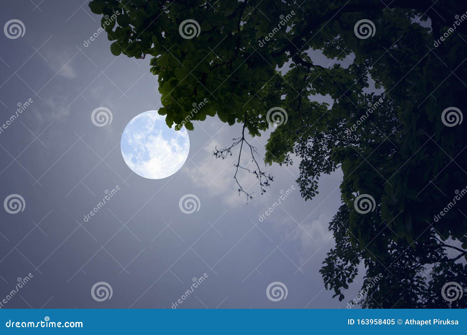 Full Moon Spring Stock Photos - Download 1,467 Royalty Free Photos