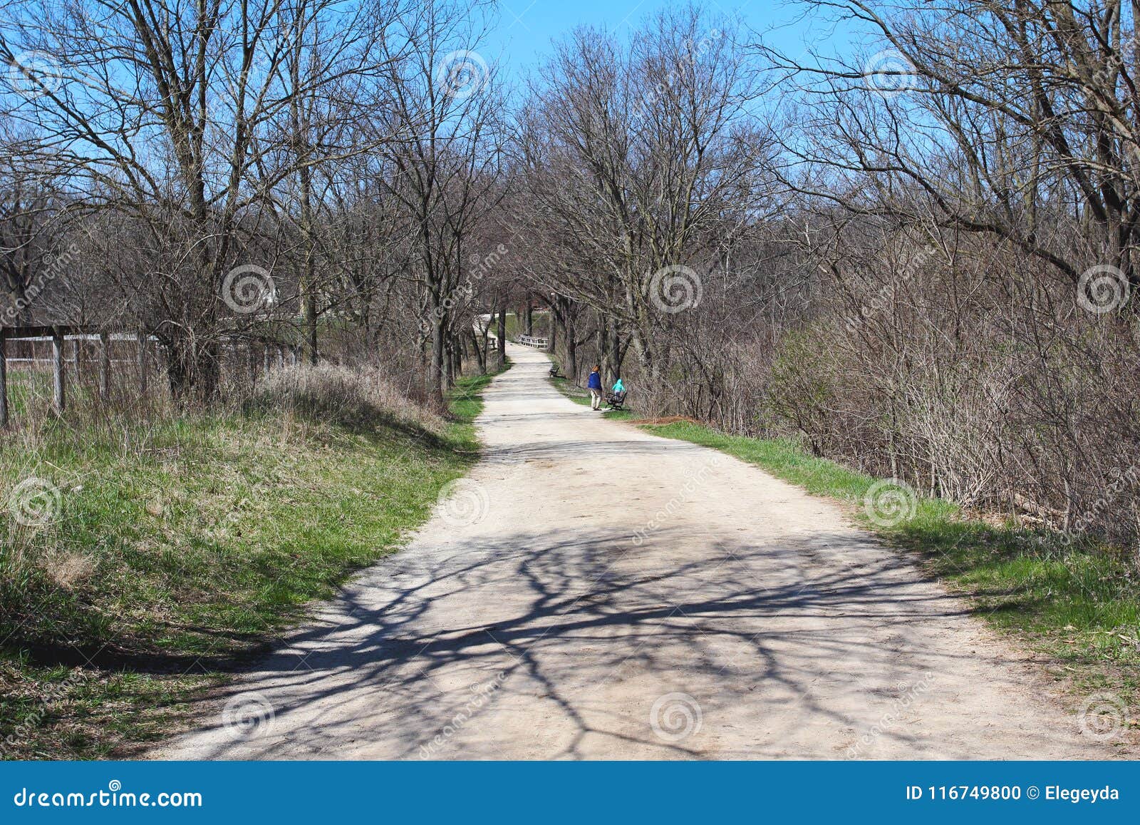 Beautiful Bike and Walk Trail in the Forest Stock Photo - Image of ...