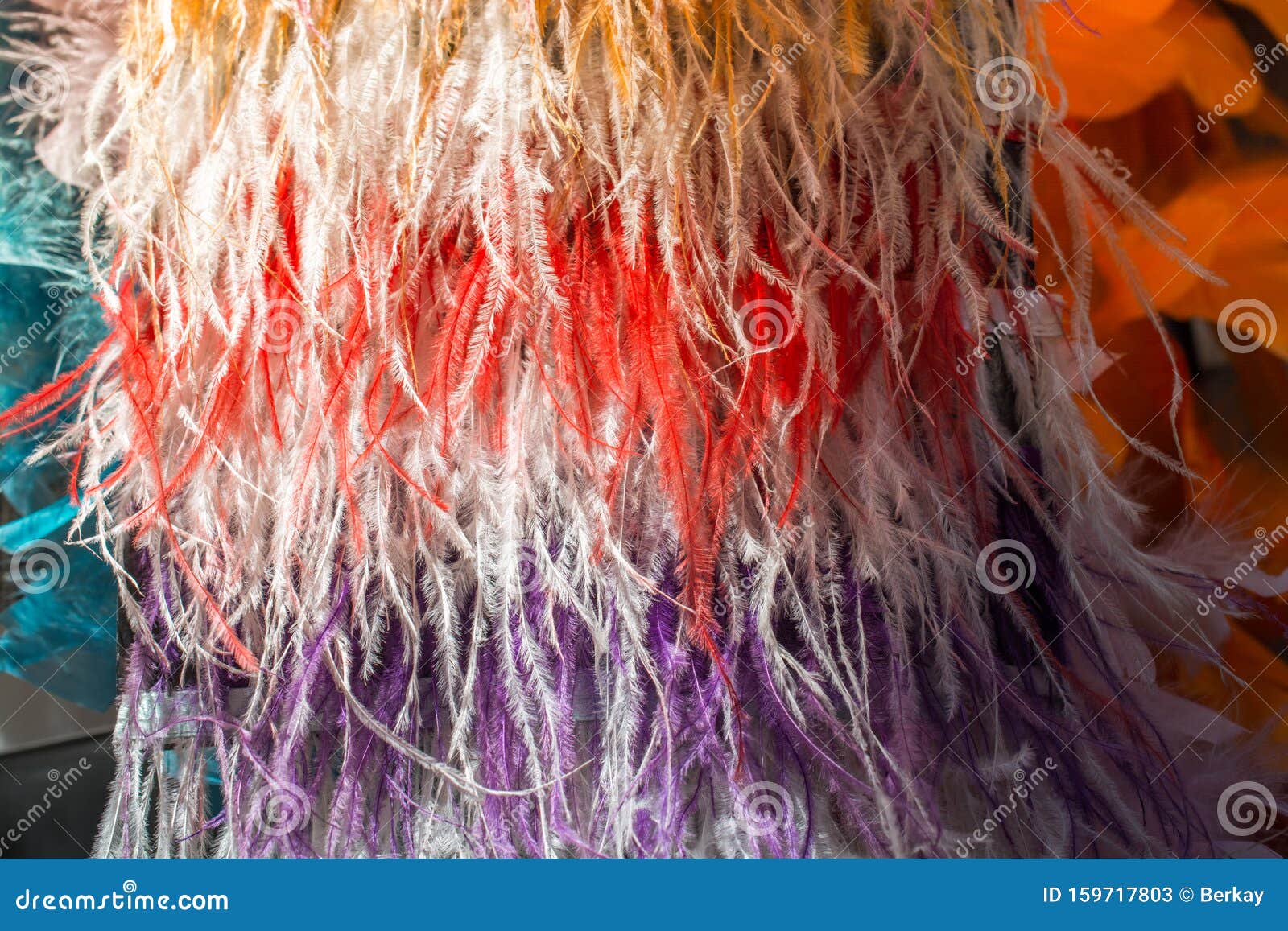 Collection of Bright Colored Feathers for Decorative Purposes Stock ...