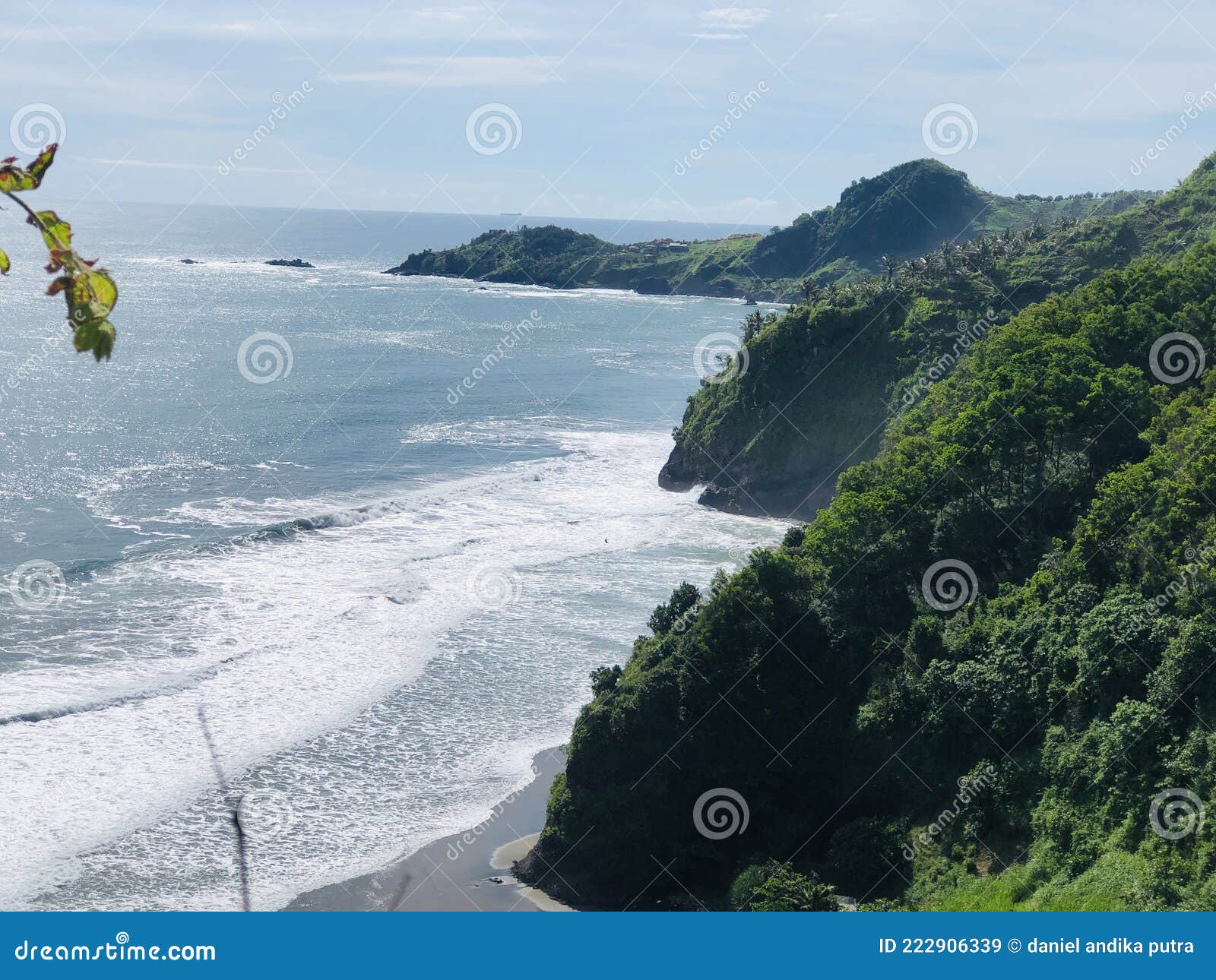 Bird Fiew Stock Photos - Free & Royalty-Free Stock Photos from Dreamstime