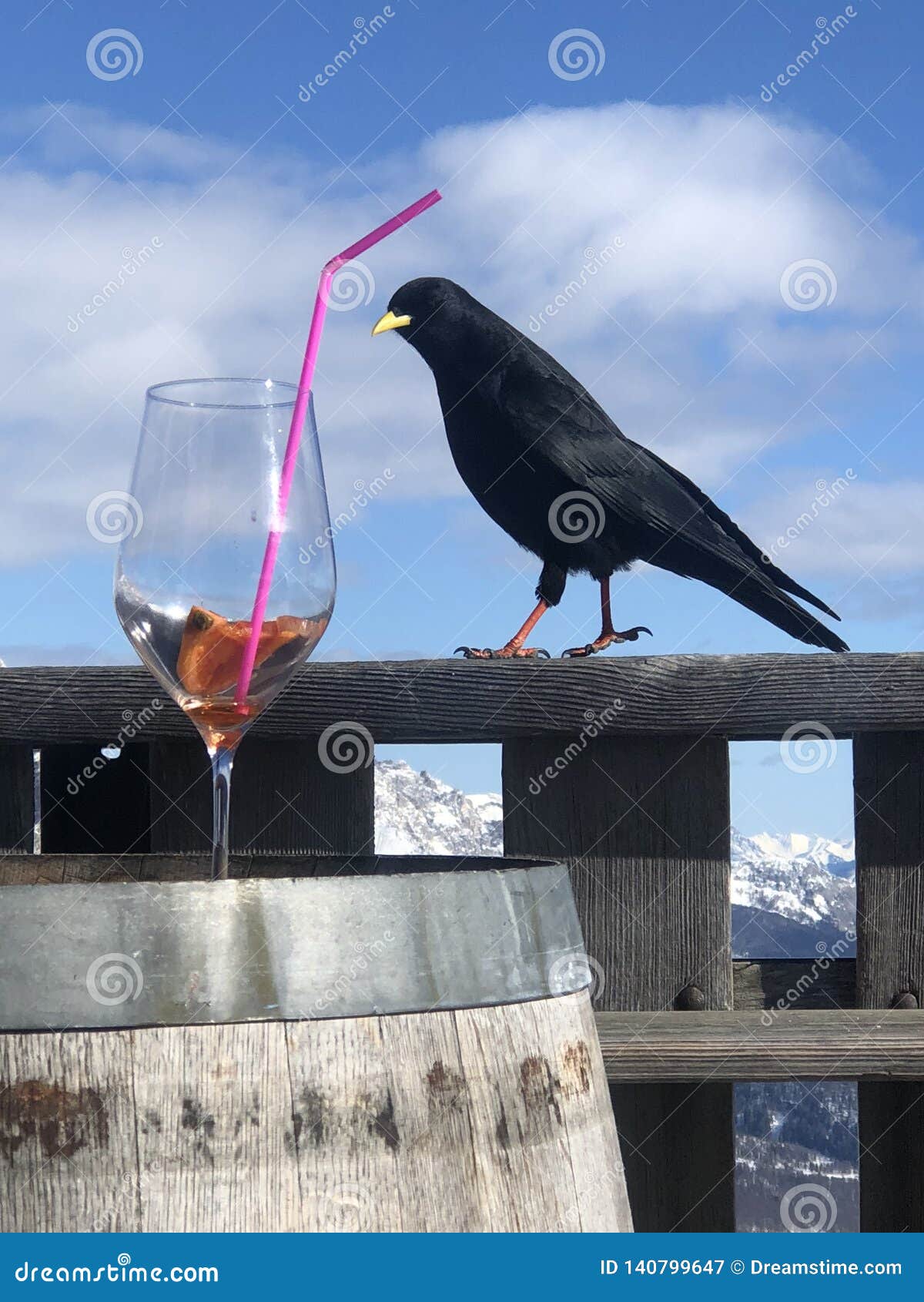 Beautiful bird in nature stock image. Image of heaven - 140799647