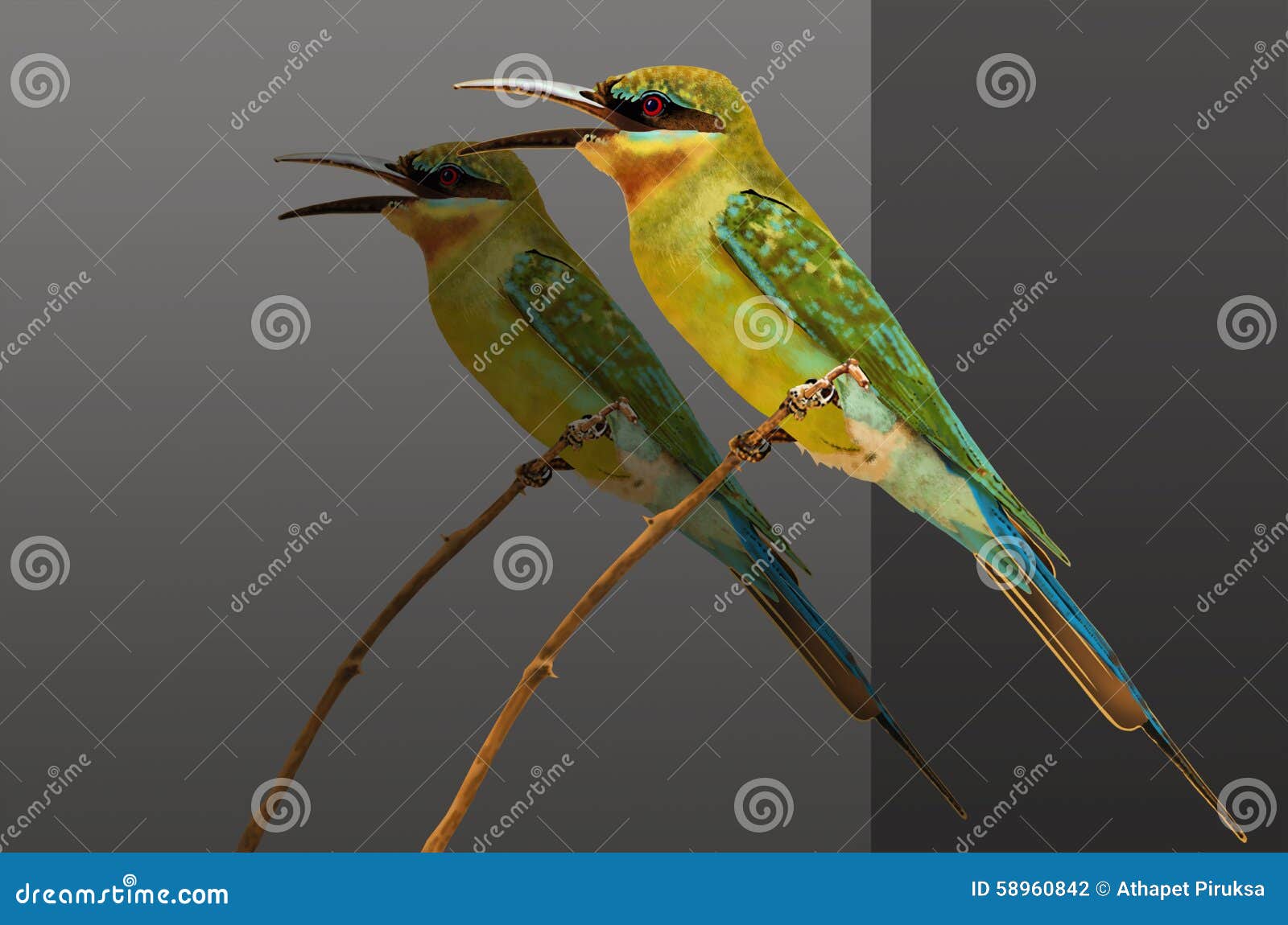 Beautiful bird with shadow stock illustration. Illustration of sparrow ...
