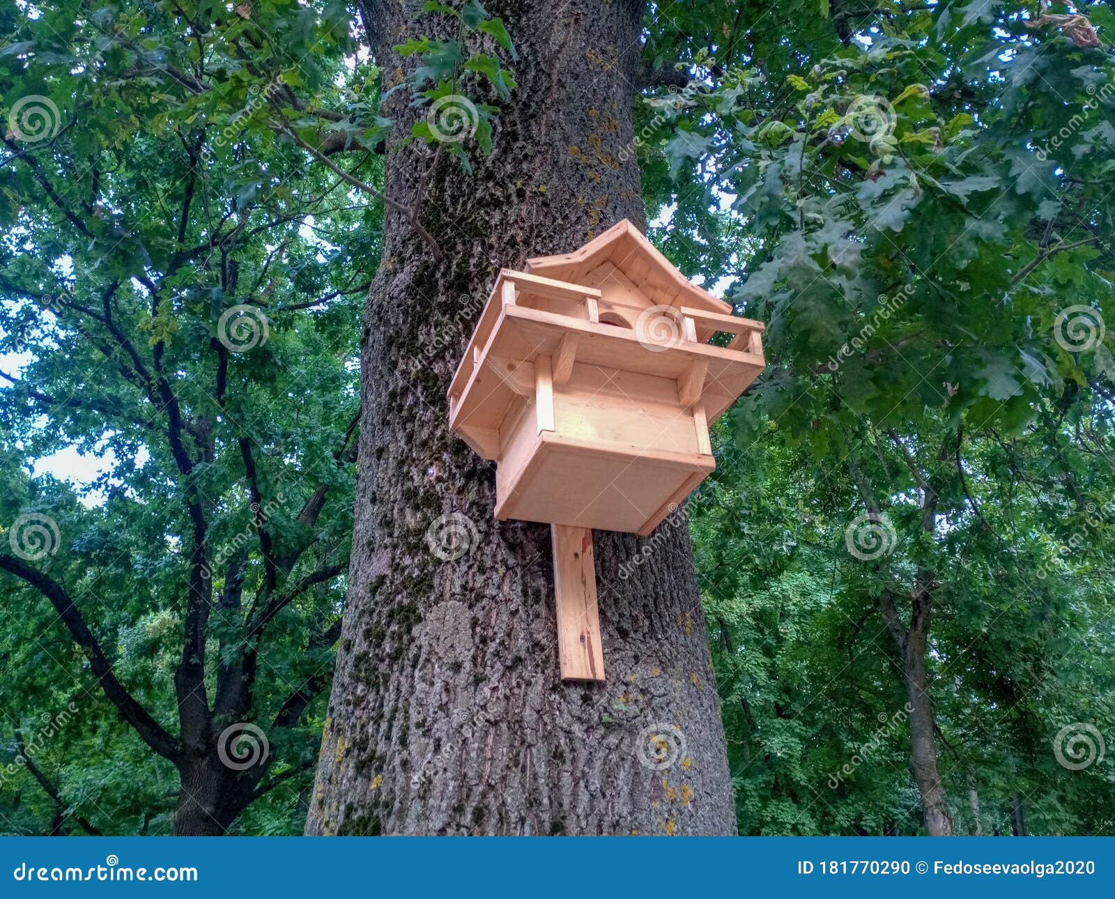 Beautiful Birdhouse on Tree. Birdhouse in the Park Stock Photo - Image ...