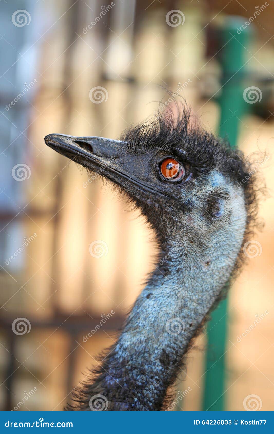 Beautiful birds emo stock image. Image of garden, romantic - 64226003