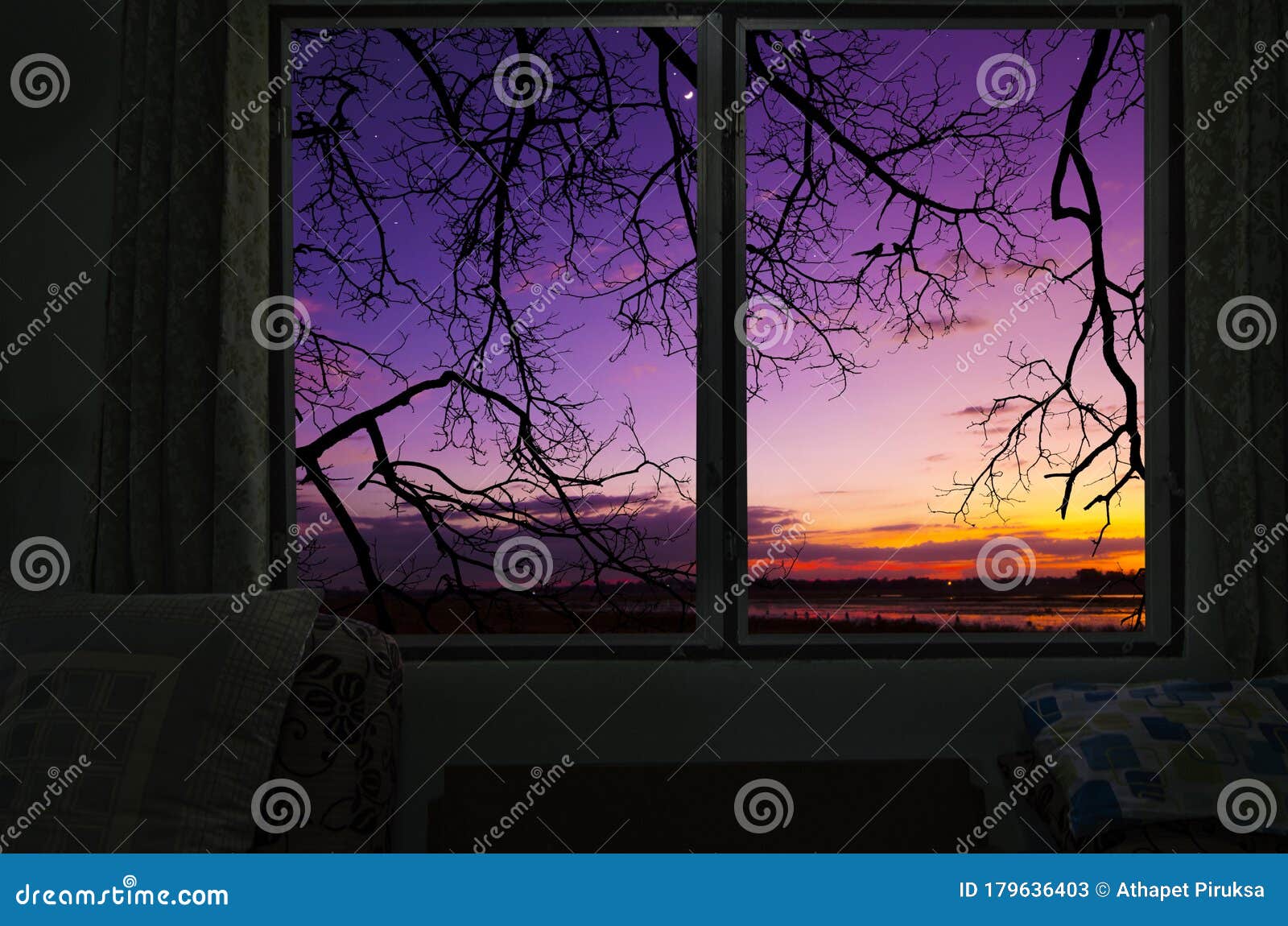 Beautiful First Morning Light in the Windows Stock Image - Image of ...