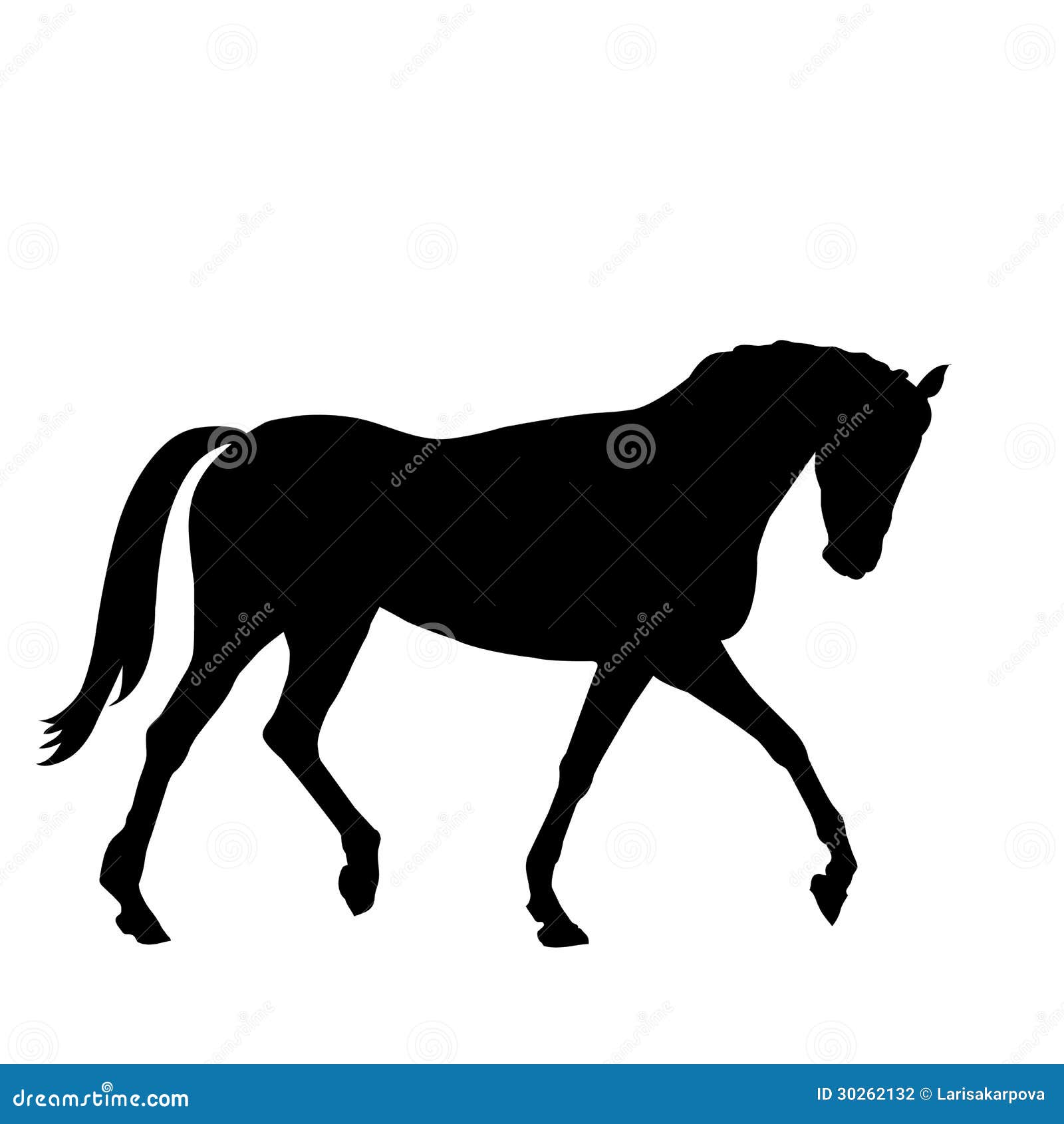 Beautiful Black Horse Silhouette Stock Illustration - Illustration of ...