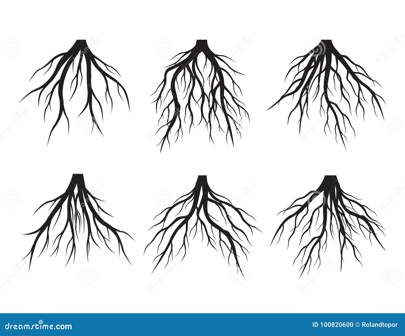 Beautiful Black Roots Tree. Stock Vector - Illustration of natural ...