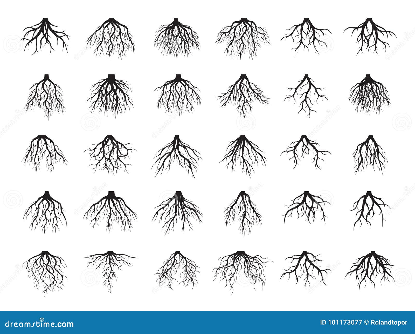 Beautiful Black Roots Tree. Vector Illustration. Stock Vector ...