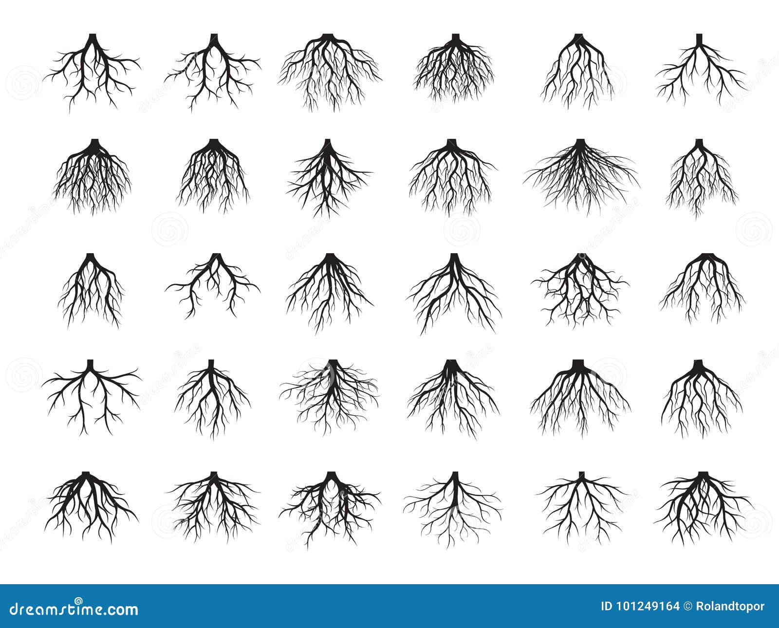 Beautiful Black Roots Tree. Vector Illustration. Stock Vector ...
