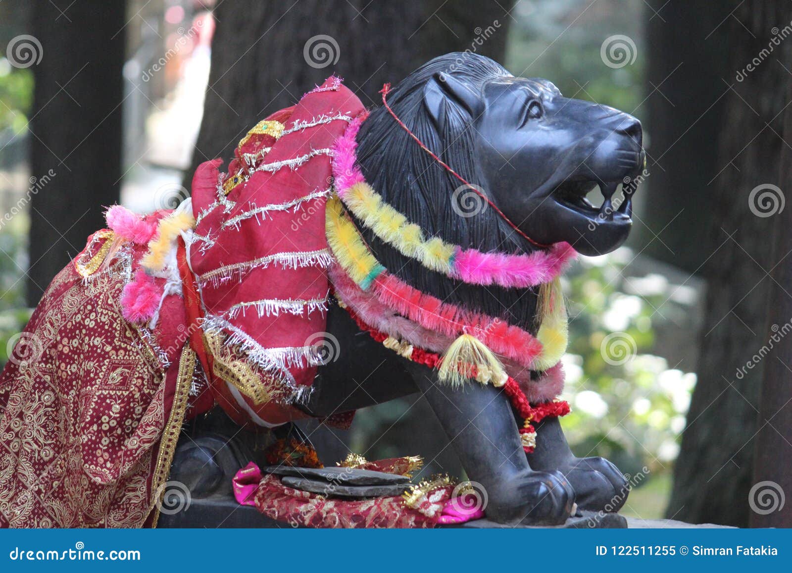 LION stachu stock image. Image of beautiful, lion, black - 122511255