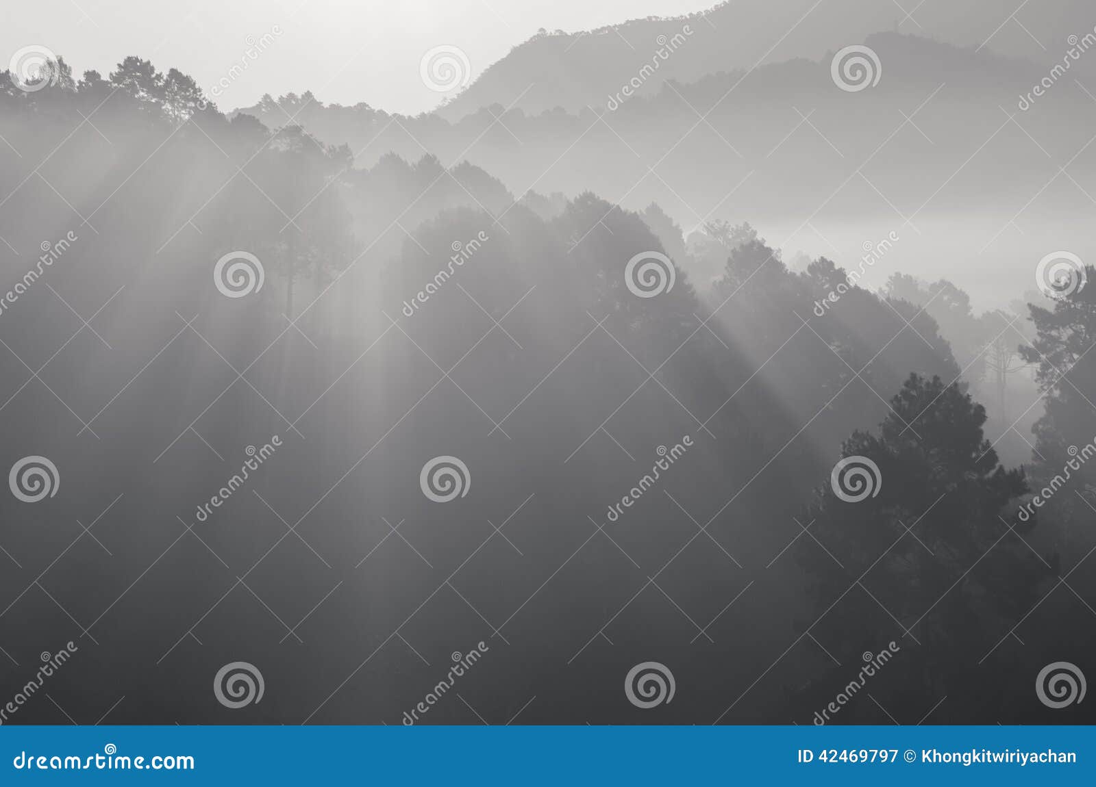 Beautiful Black and White Ray of Light Stock Image - Image of beauty ...