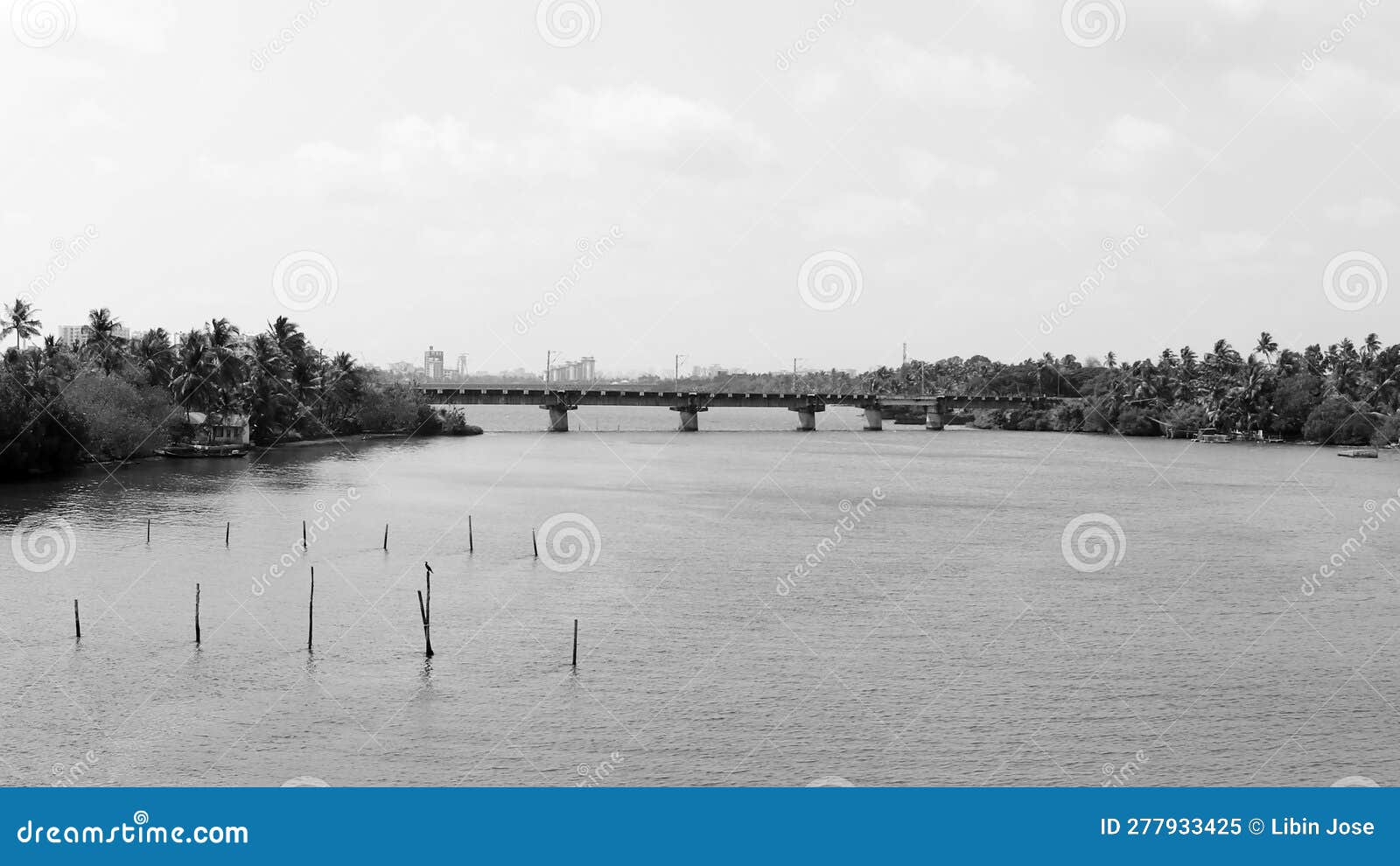 Beautiful Black and White View of Two Lands Connecting with a Bridge ...