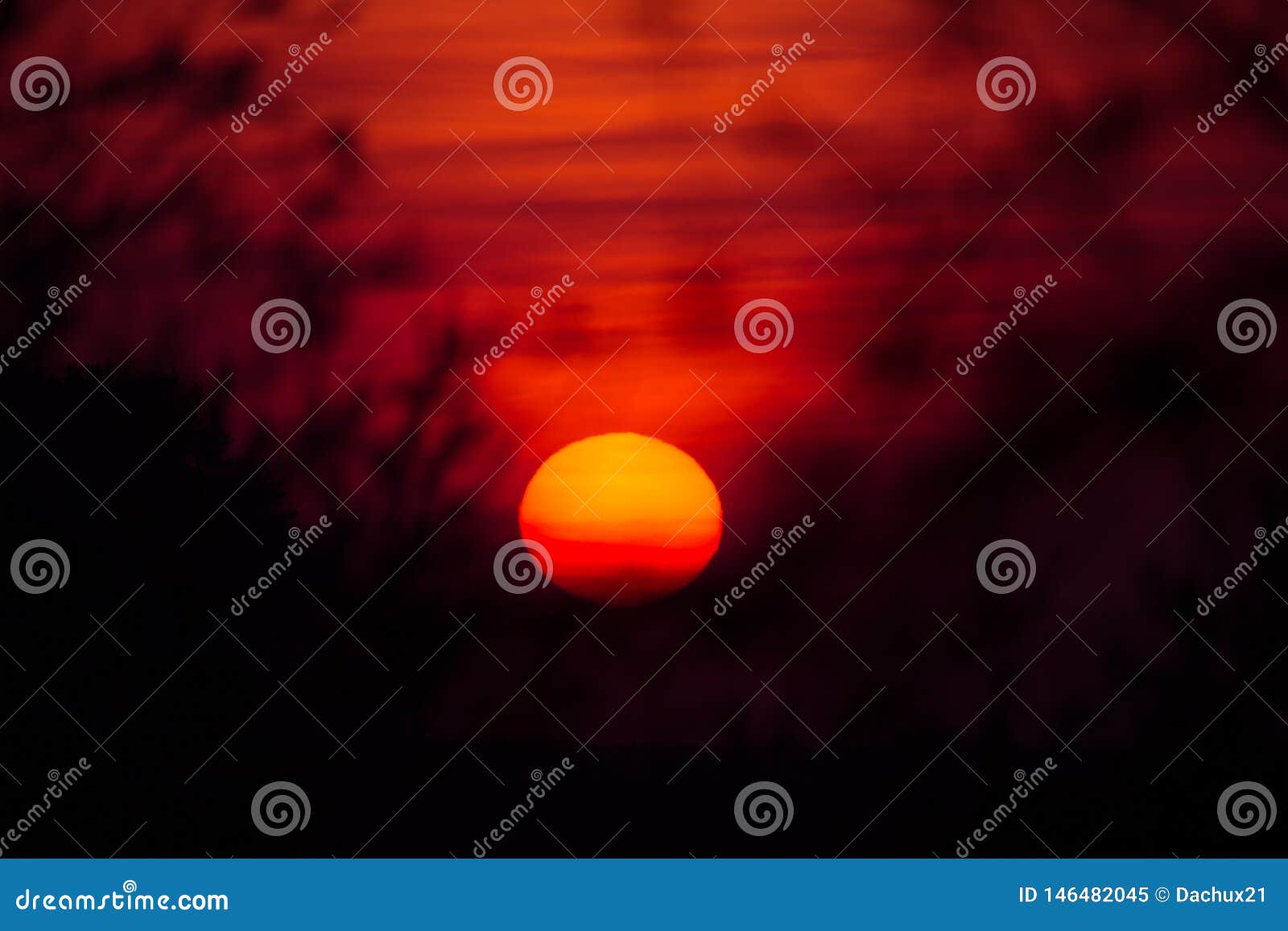 A Beautiful, Blazing Sunset through the Tree Branches. Stock Image ...