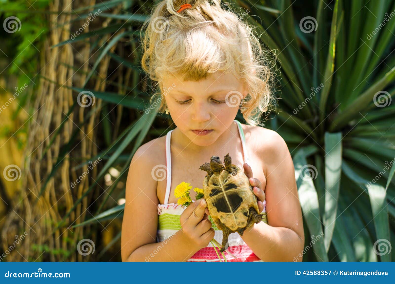 Beautiful Blond Girl with Turtle Stock Image - Image of gaze, turtle ...