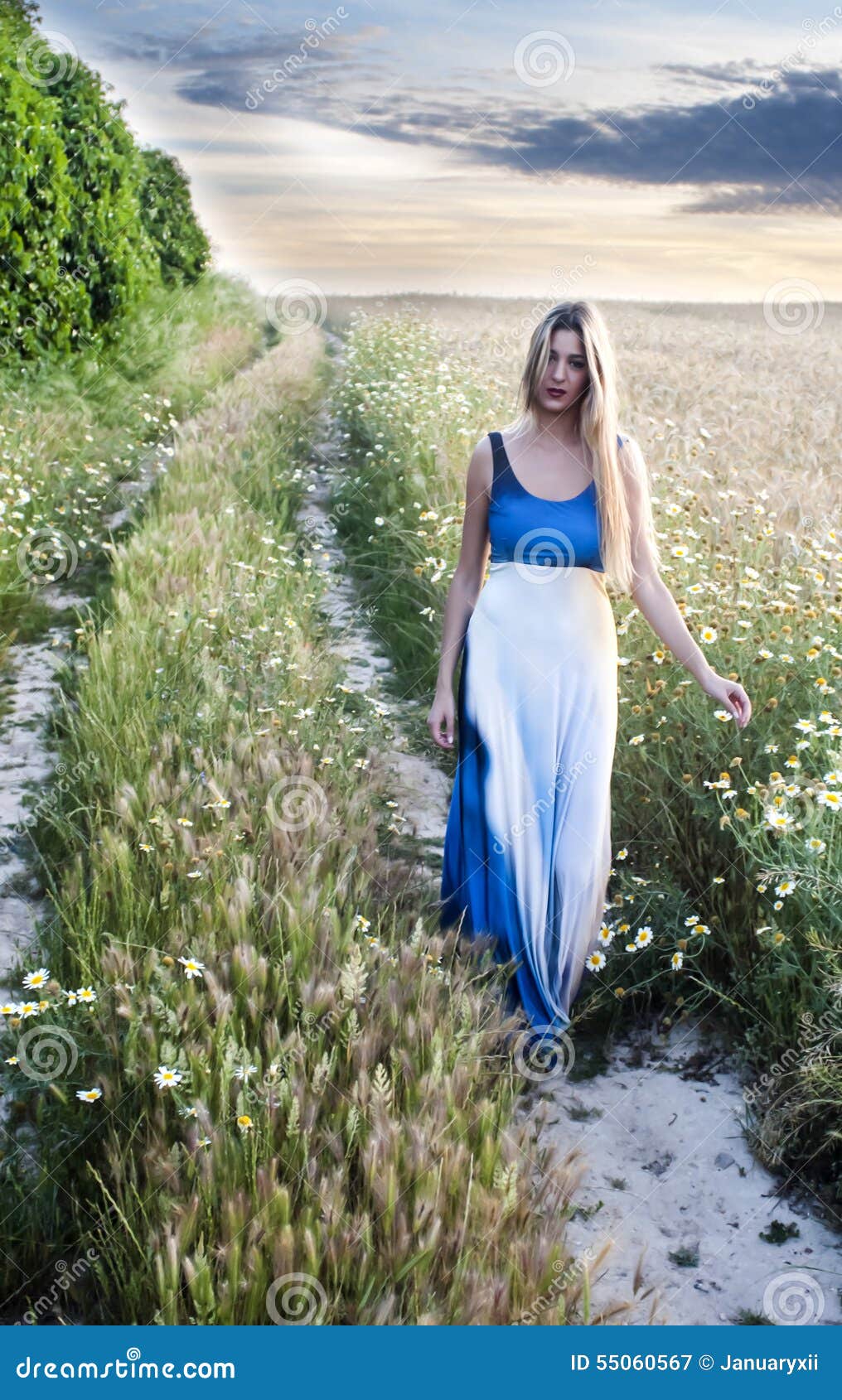 Beautiful Blond Woman on a Path in a Wheat Field Stock Image - Image of ...