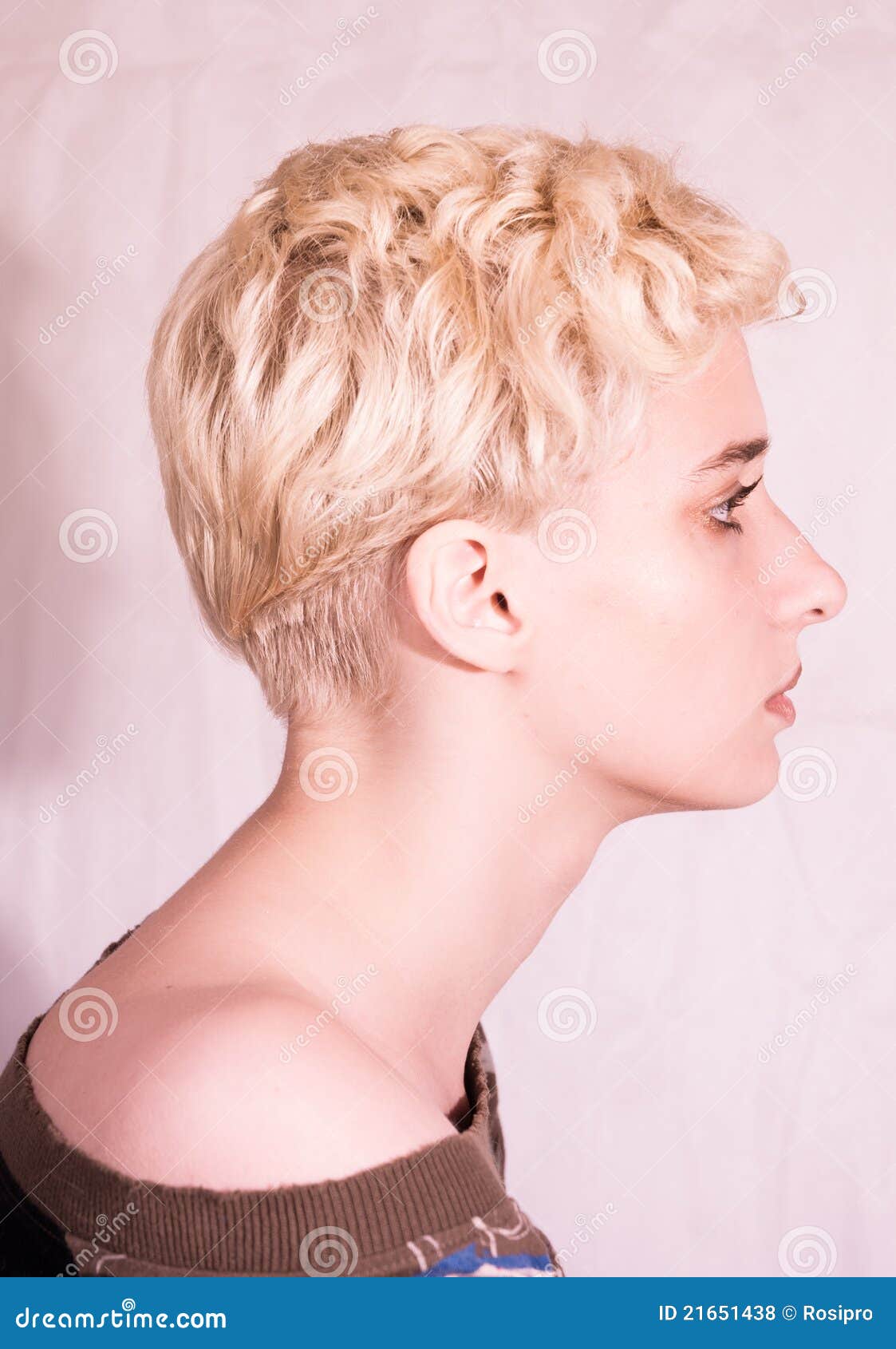 Beautiful Blond Woman Profile Stock Photo - Image of face, blond: 21651438