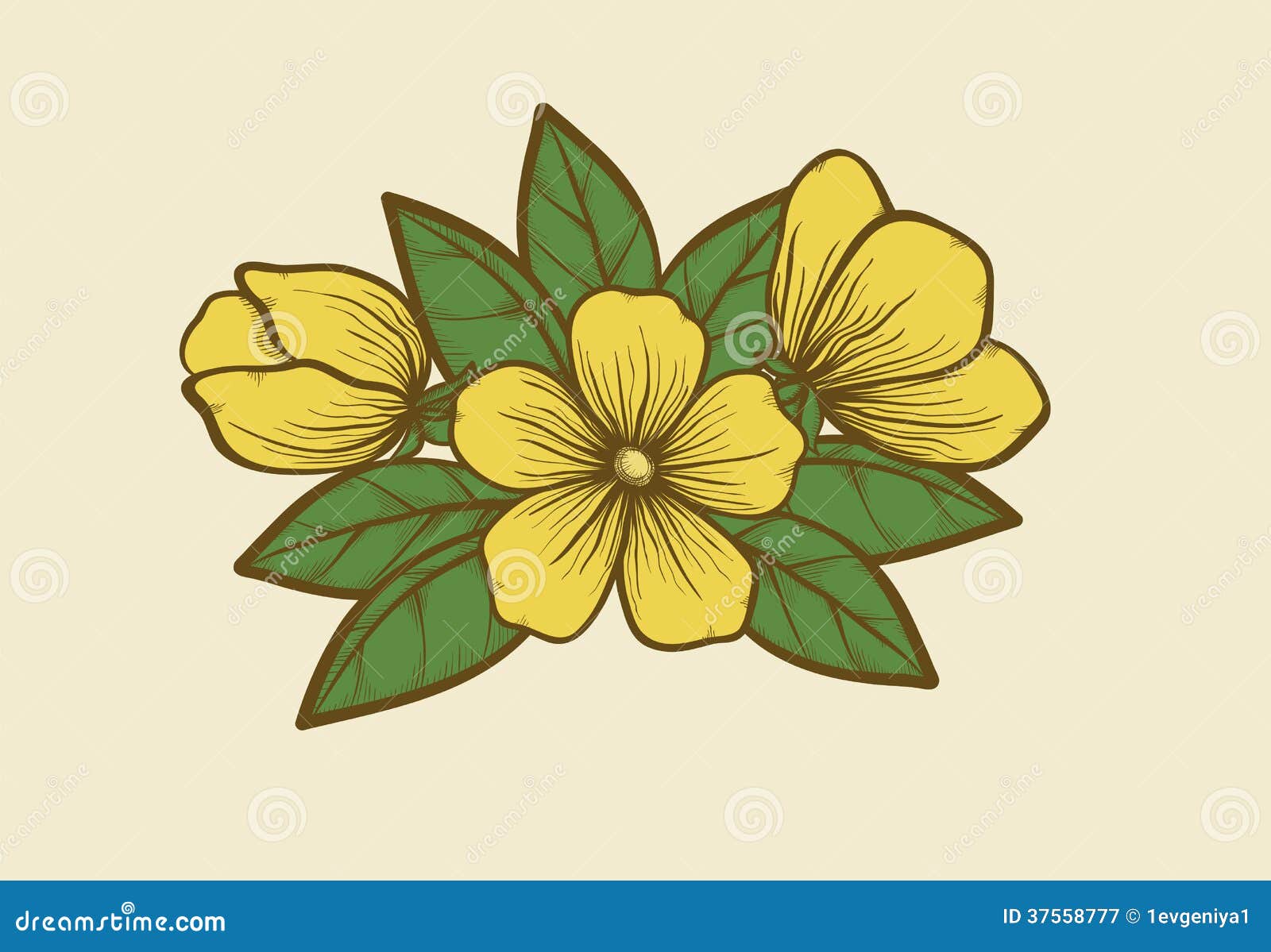 Beautiful Blooming Branch, Symbol of Spring Stock Vector - Illustration ...