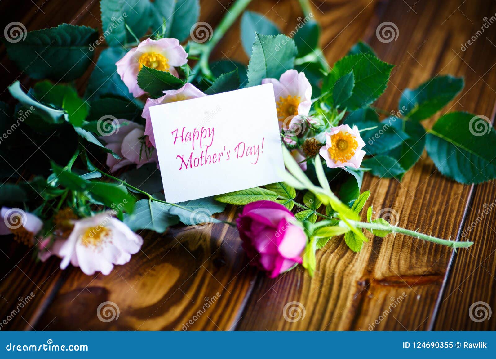 Beautiful Blooming Roses and a Greeting Card for the Mother Stock Image ... Beautiful Blooming Roses and a Greeting Card for the Mother Stock Image ...